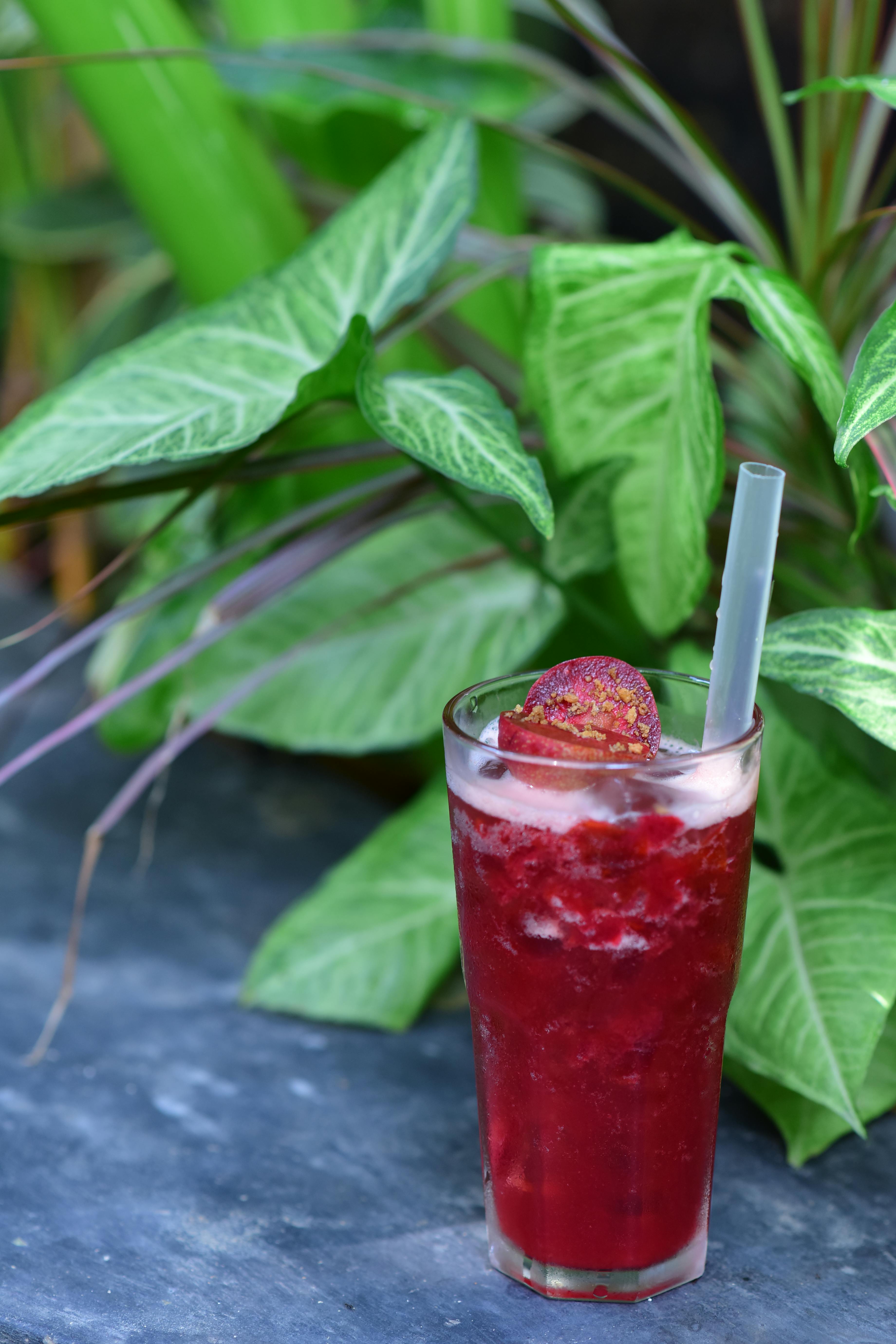 Natural Refreshment Photos, Download The BEST Free Natural Refreshment ...