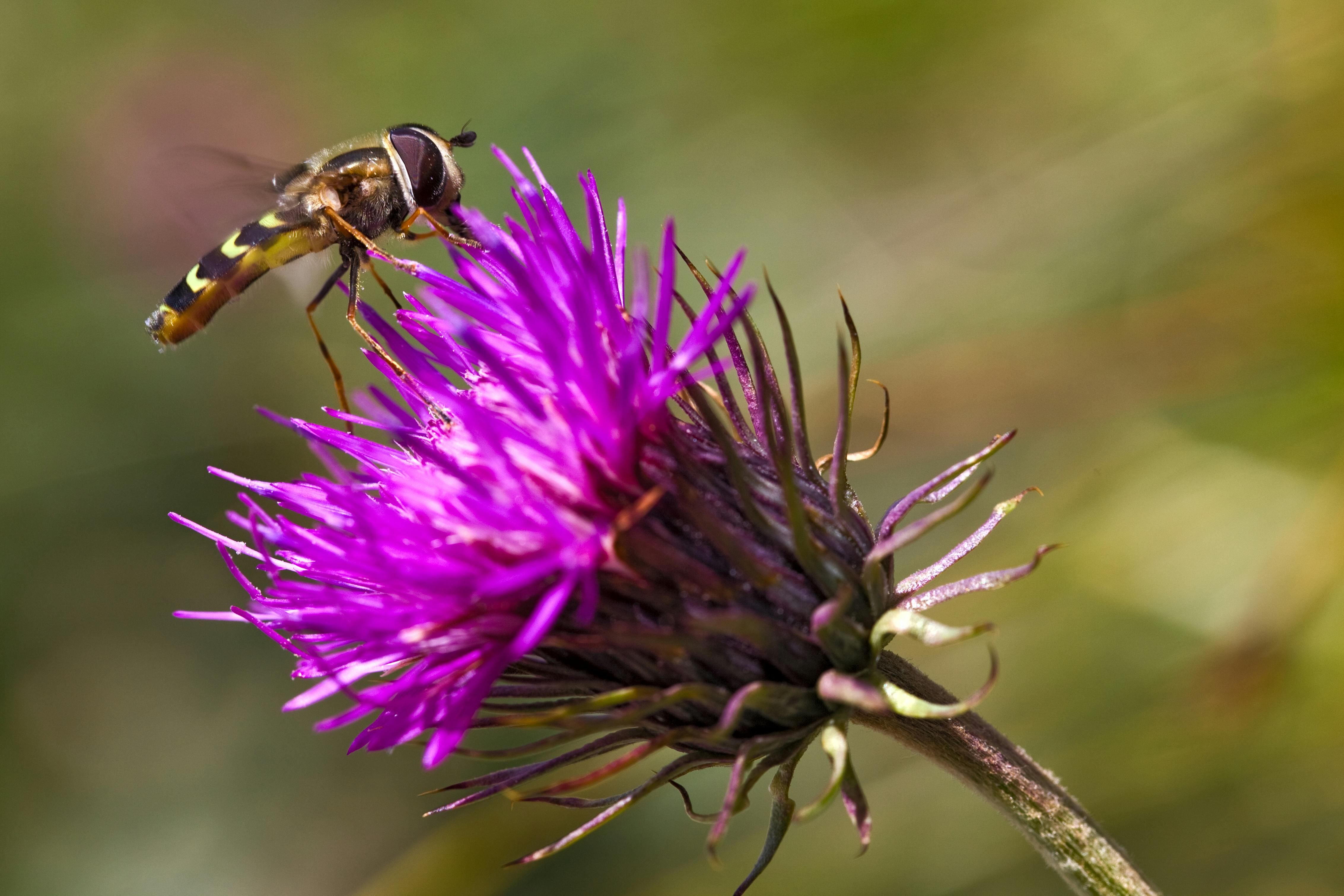 Detail Photos, Download The BEST Free Detail Stock Photos & HD Images