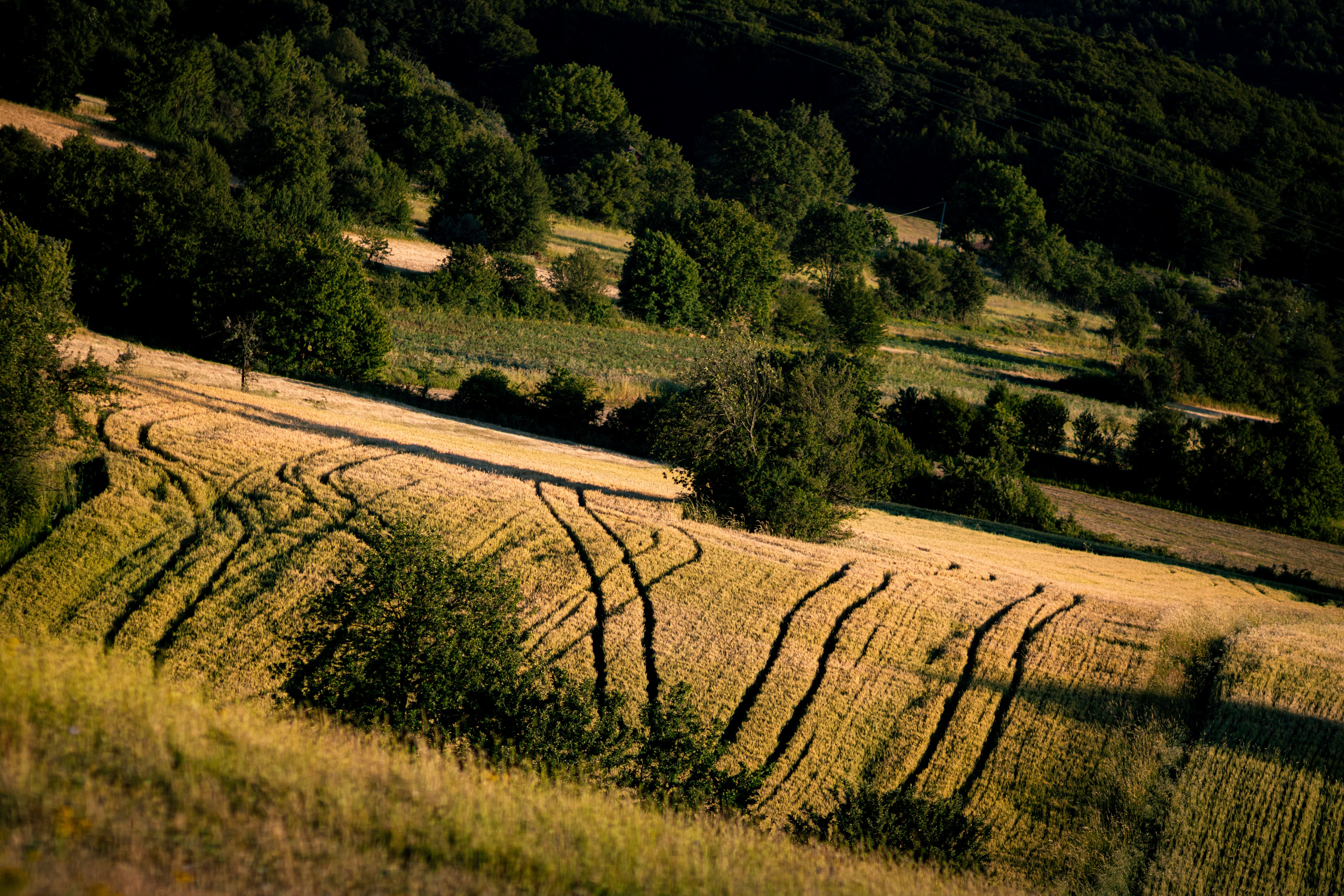 Beautiful Sunlit Countryside Landscape in Summer · Free Stock Photo
