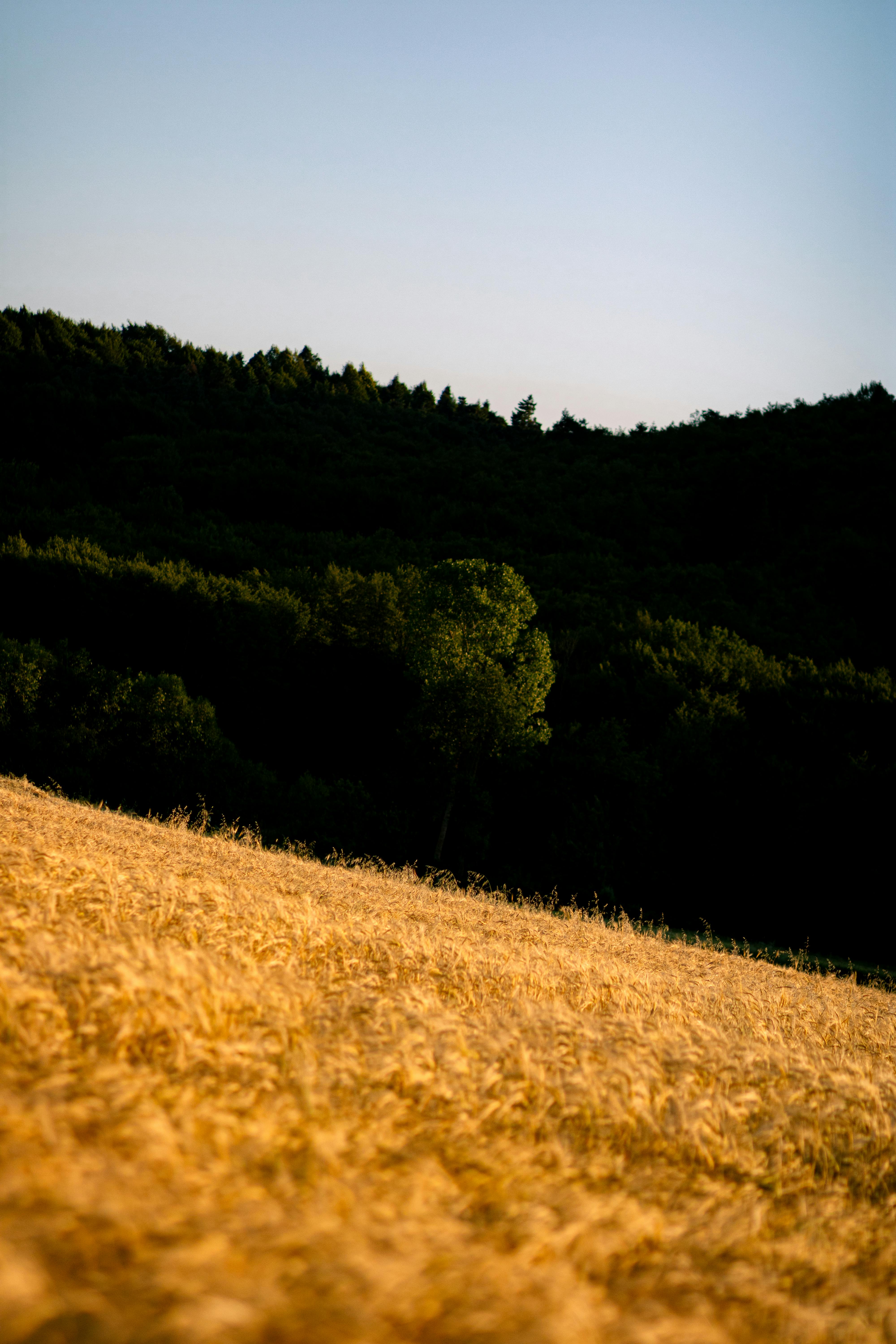 Eos Cf Photos, Download The BEST Free Eos Cf Stock Photos & HD Images