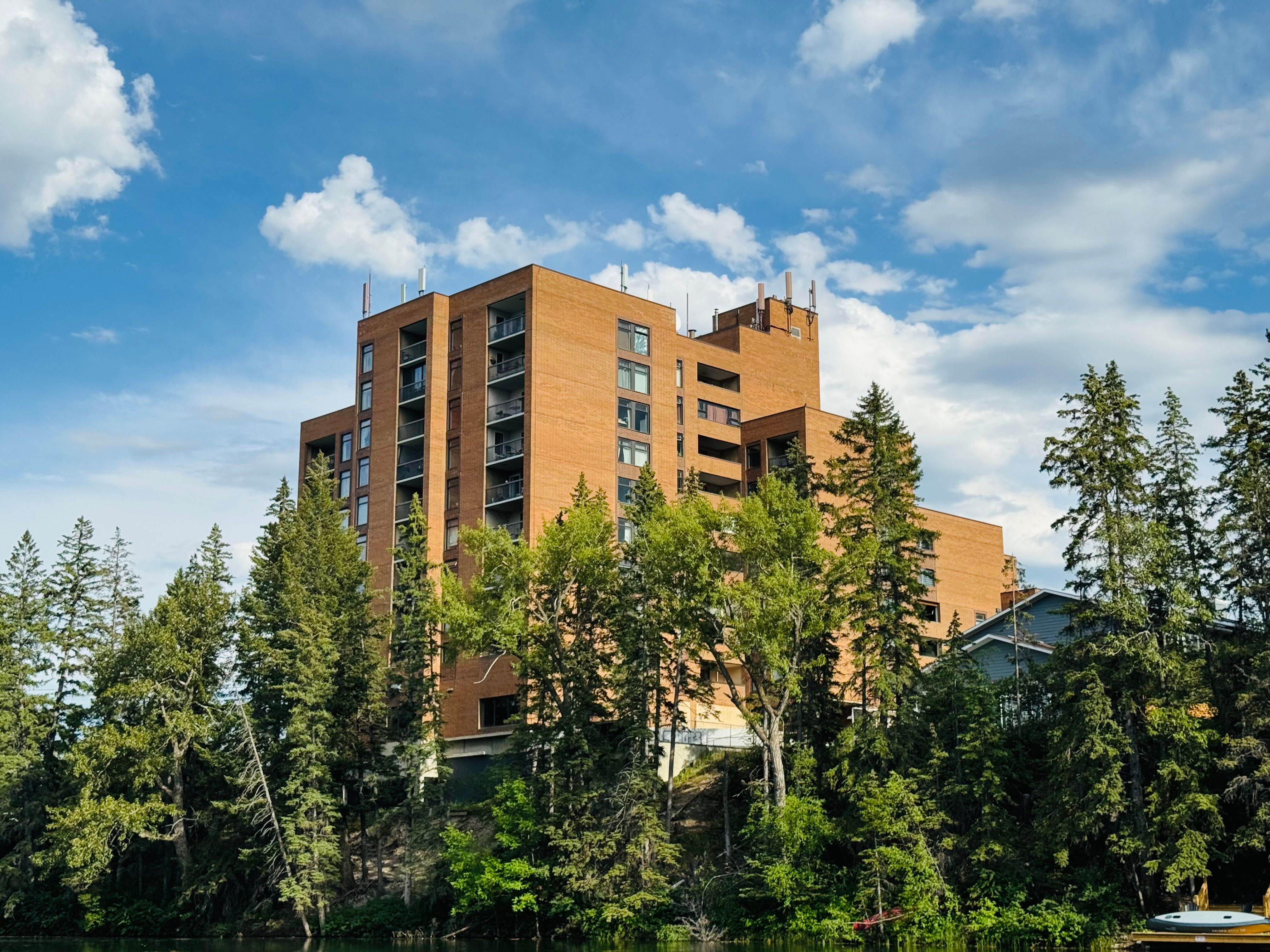 Modern Brick Building Amidst Tall Evergreen Trees · Free Stock Photo