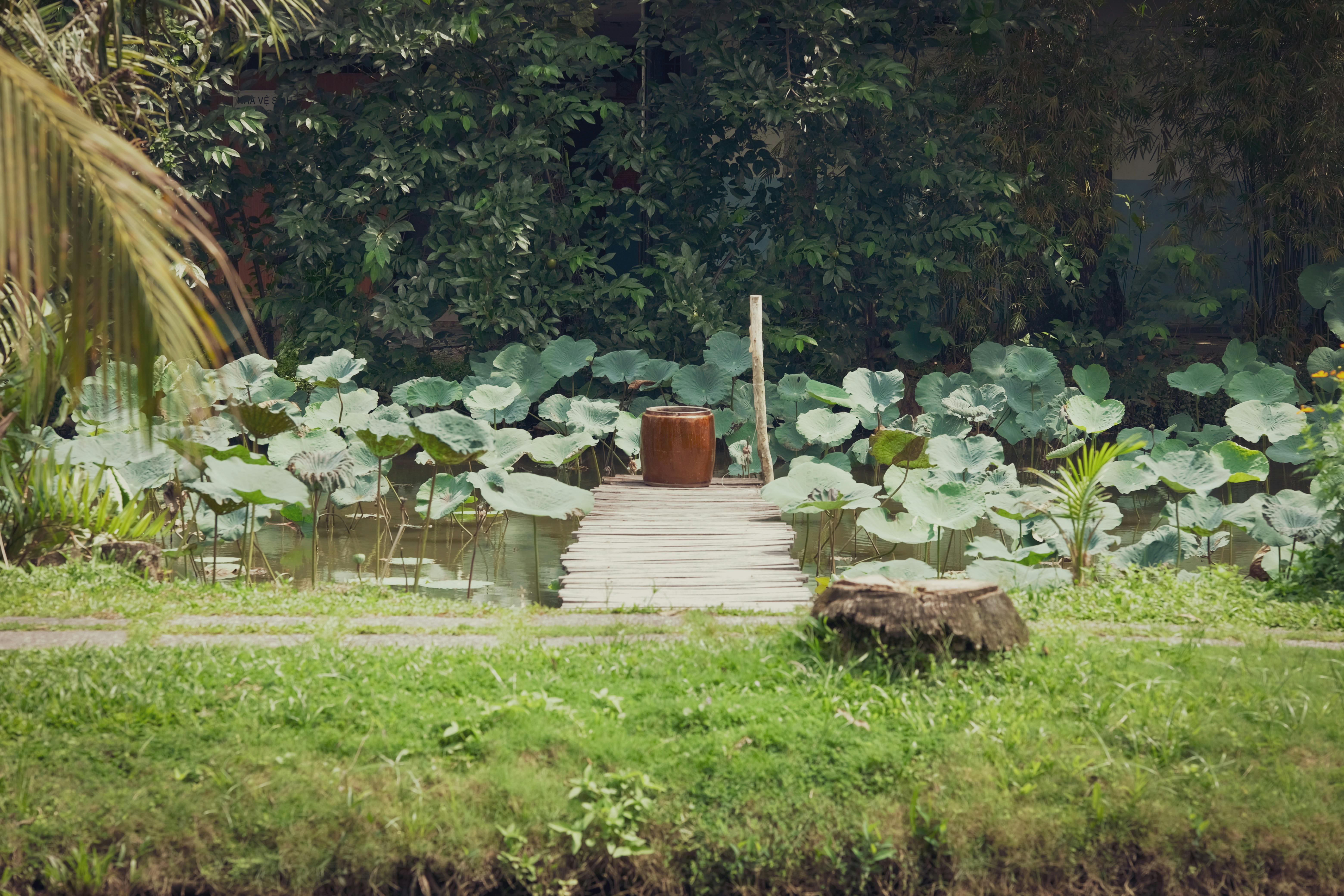 Pad Bridge Photos, Download The BEST Free Pad Bridge Stock Photos & HD ...