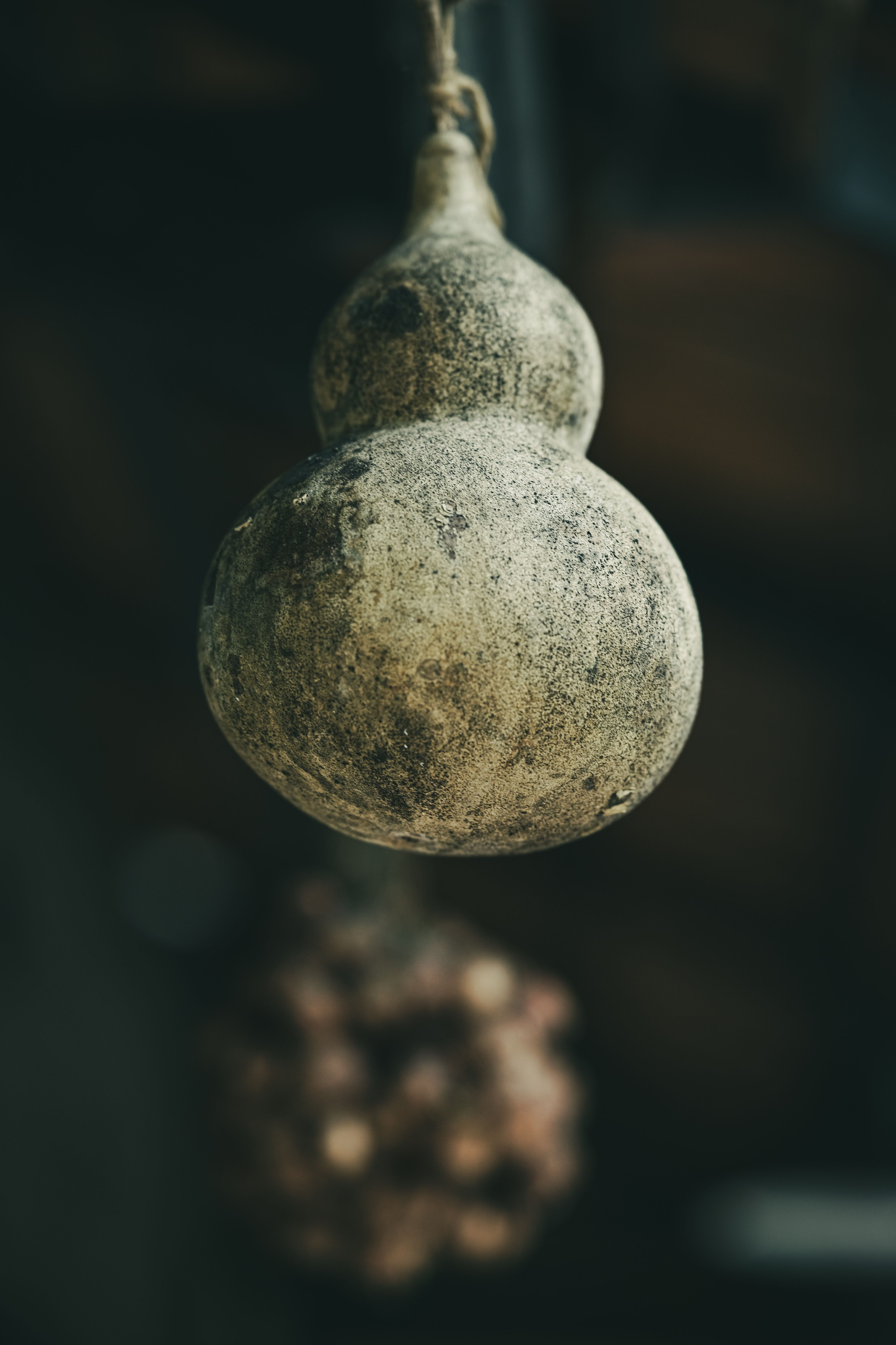 Close-Up of Dried Gourd Hanging Indoors · Free Stock Photo