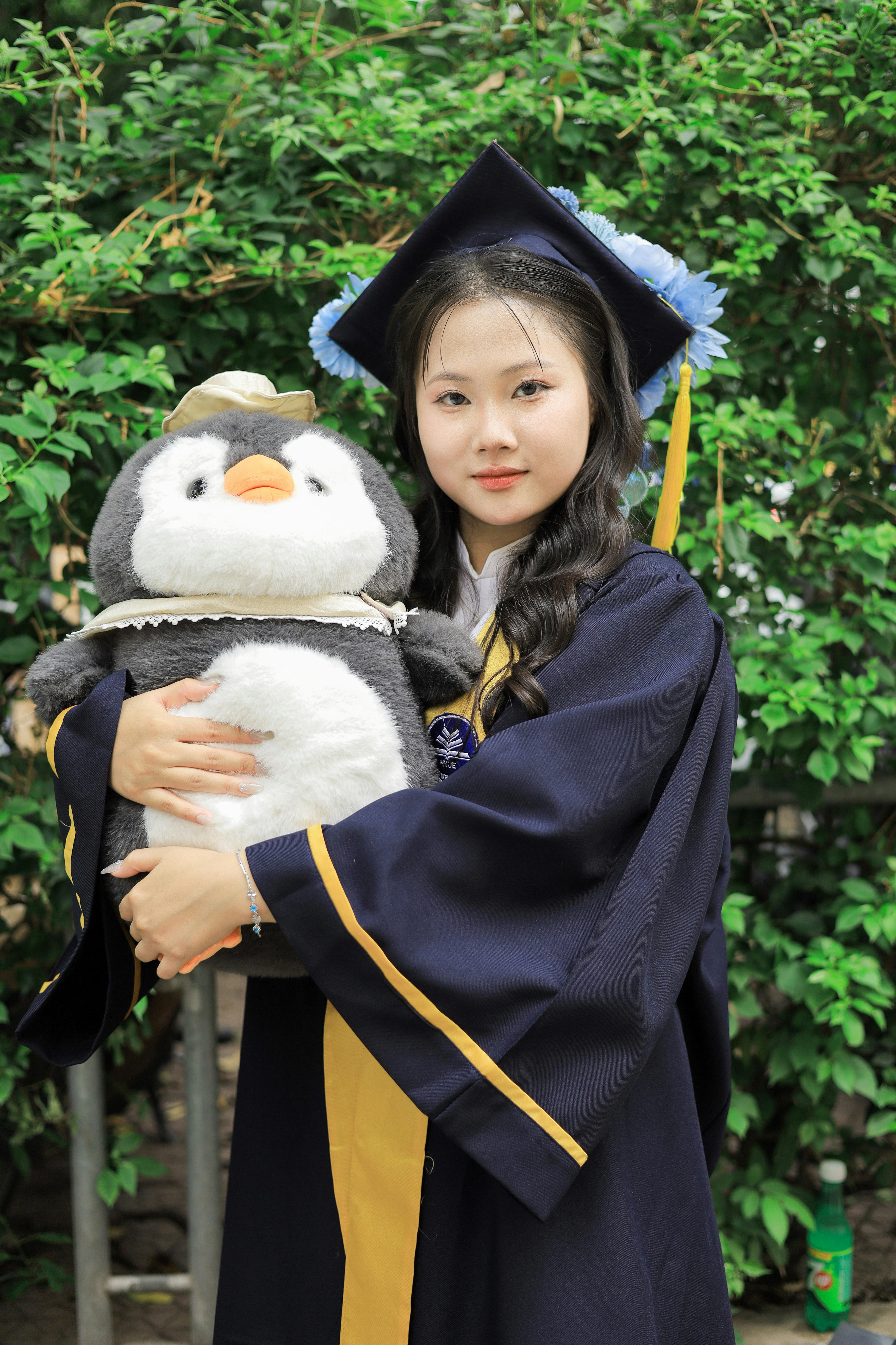 Fighting Penguin Photos, Download The BEST Free Fighting Penguin Stock ...