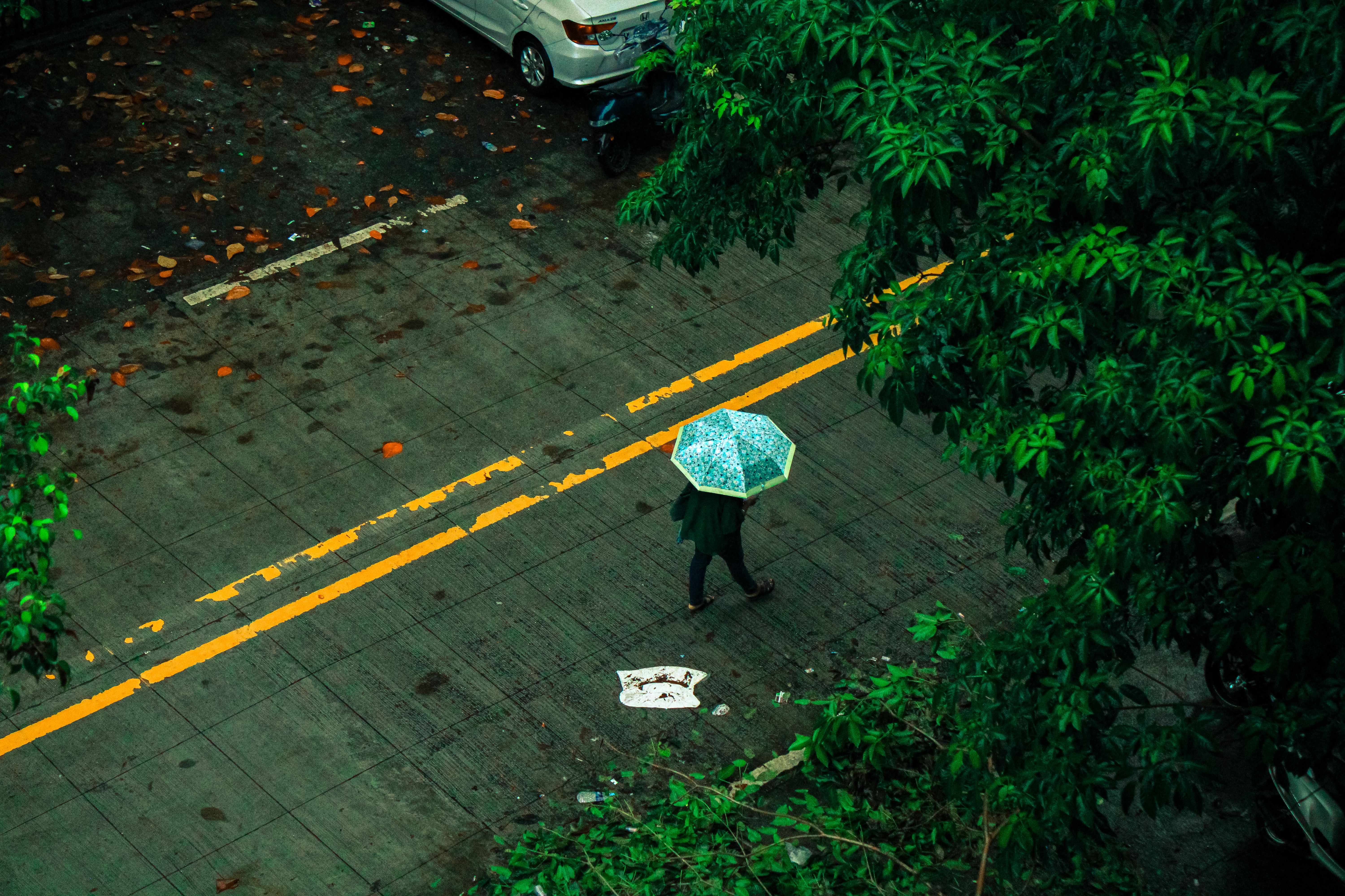 Rainy Day Street View with Umbrella from Above · Free Stock Photo