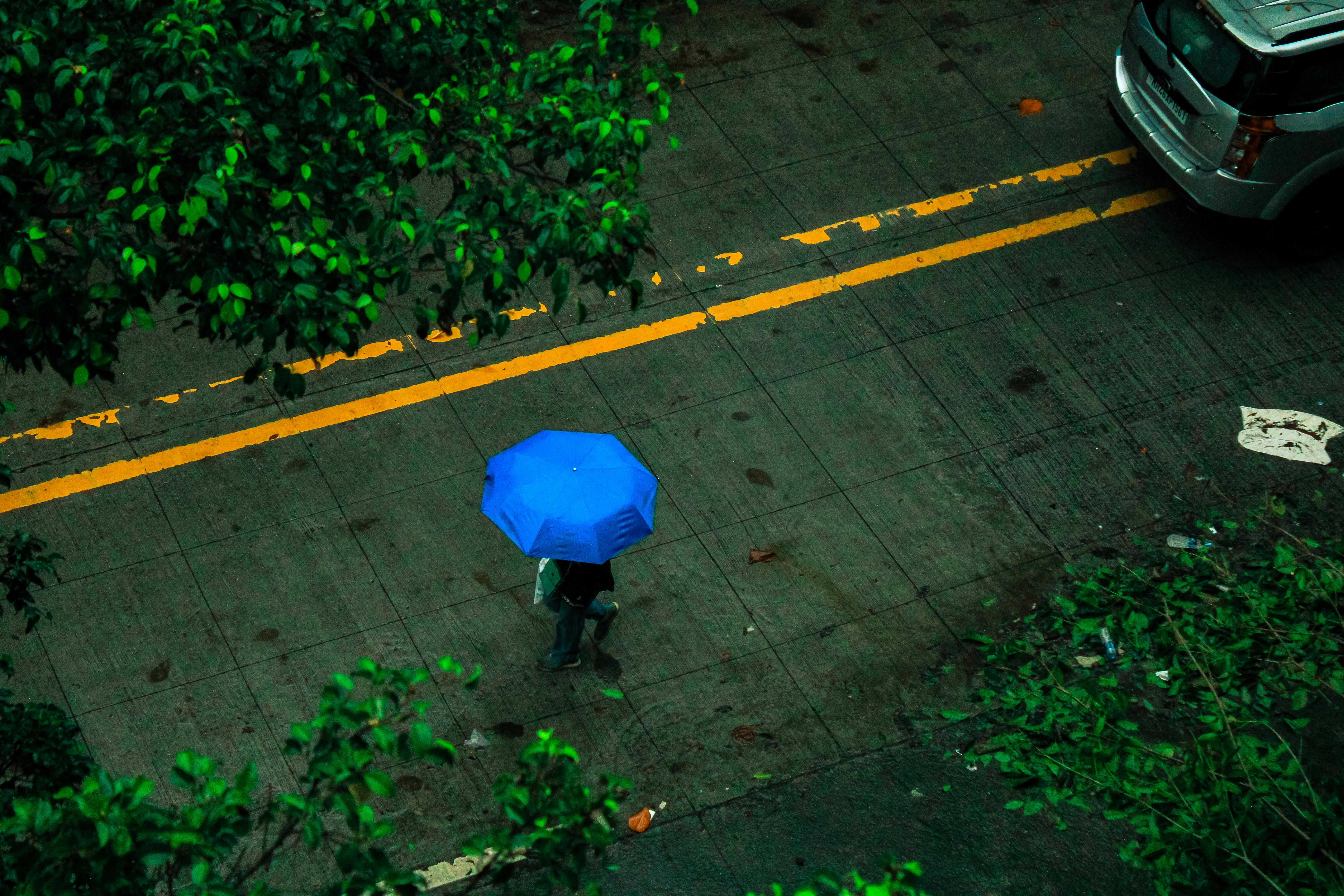 Street Marks Photos, Download The BEST Free Street Marks Stock Photos ...