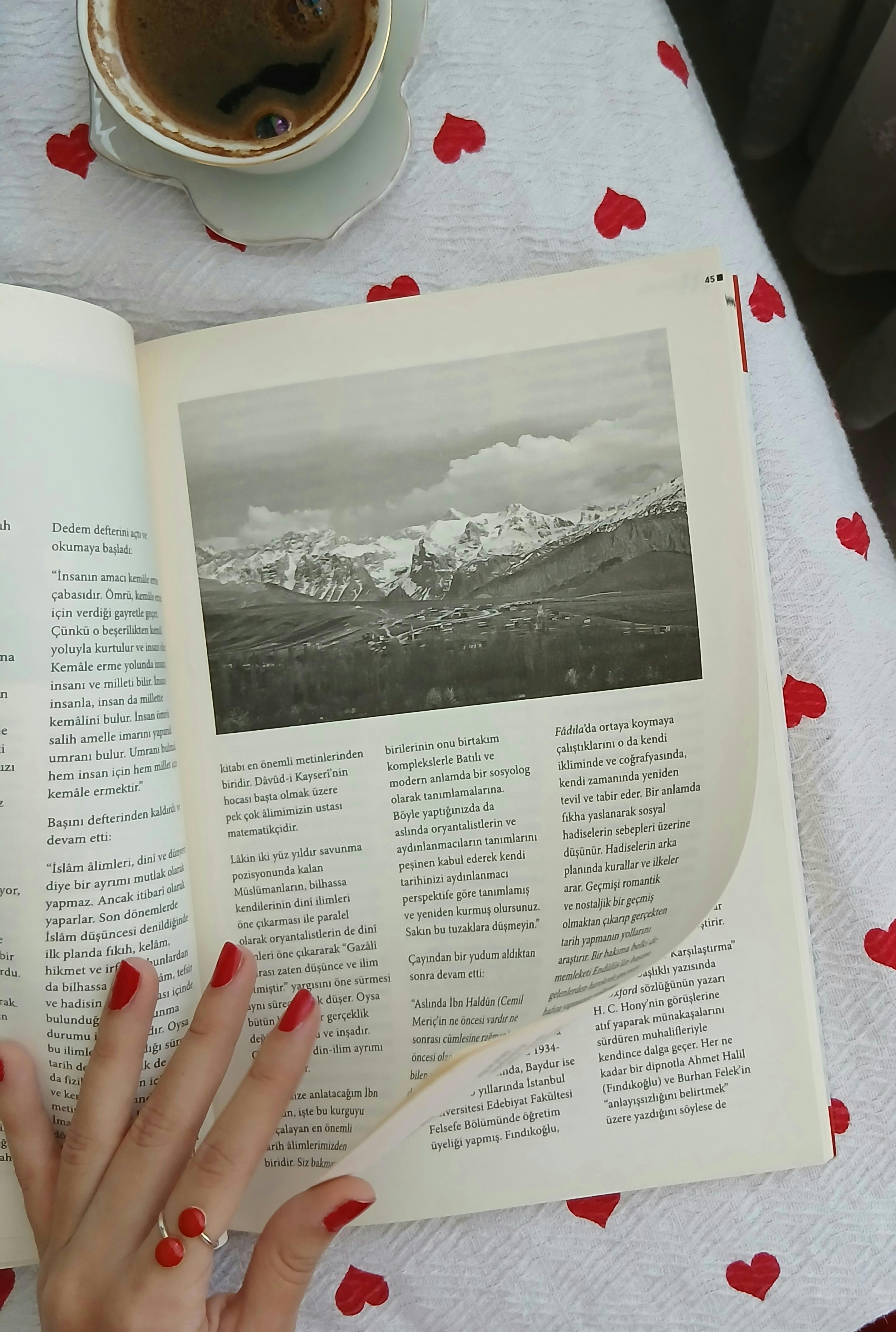 Hand Images Photos, Download The BEST Free Hand Images Stock Photos ...