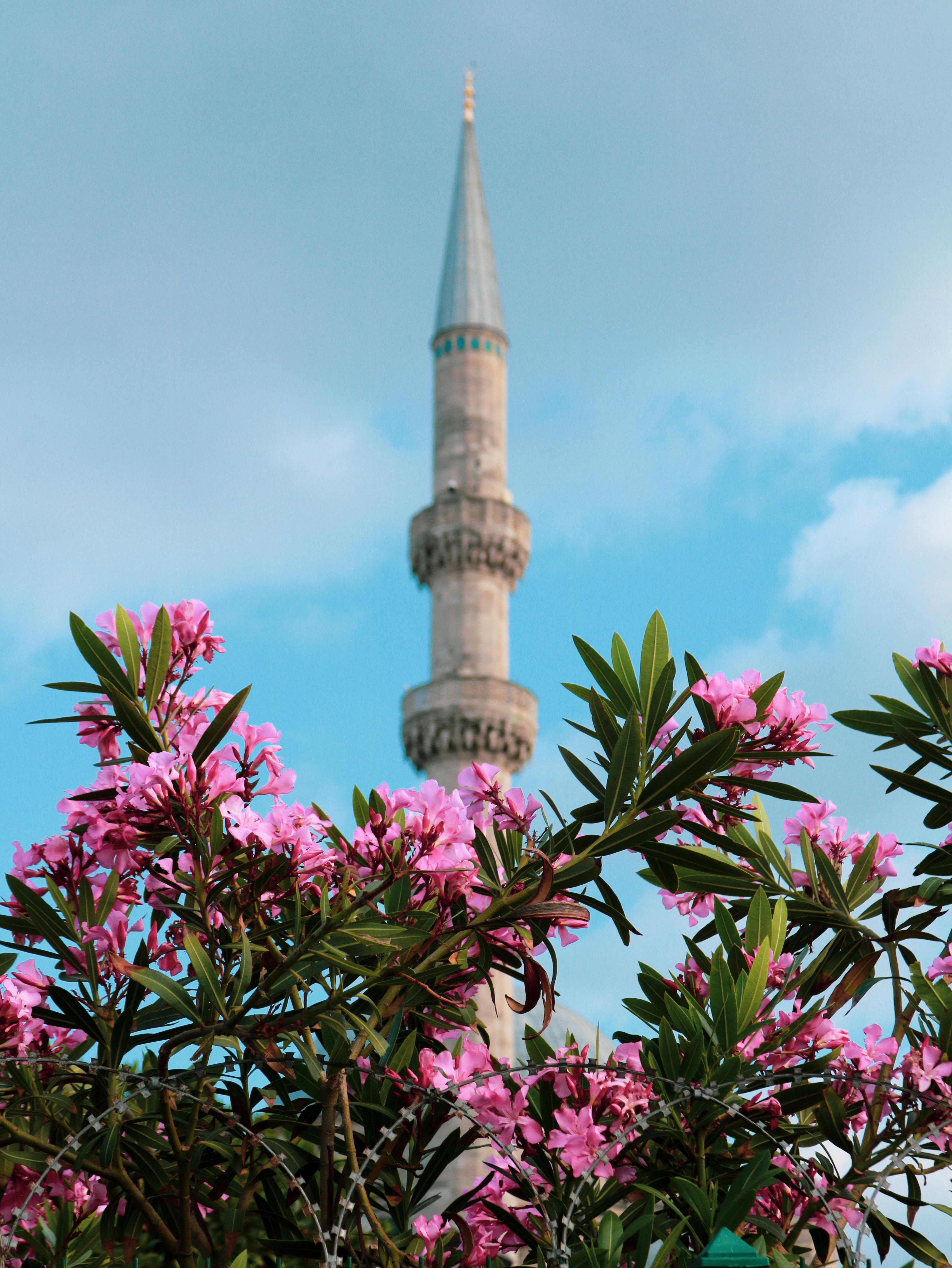 Sky Background Badal Photos, Download The BEST Free Sky Background ...