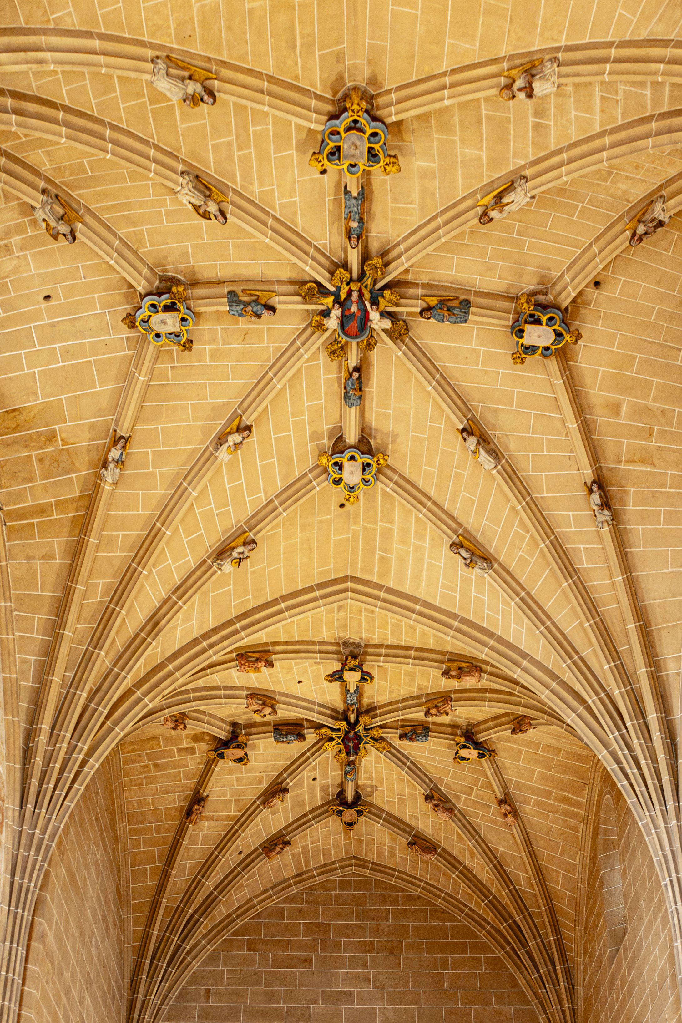 Gothic Vaulted Ceiling in Salamanca Cathedral · Free Stock Photo