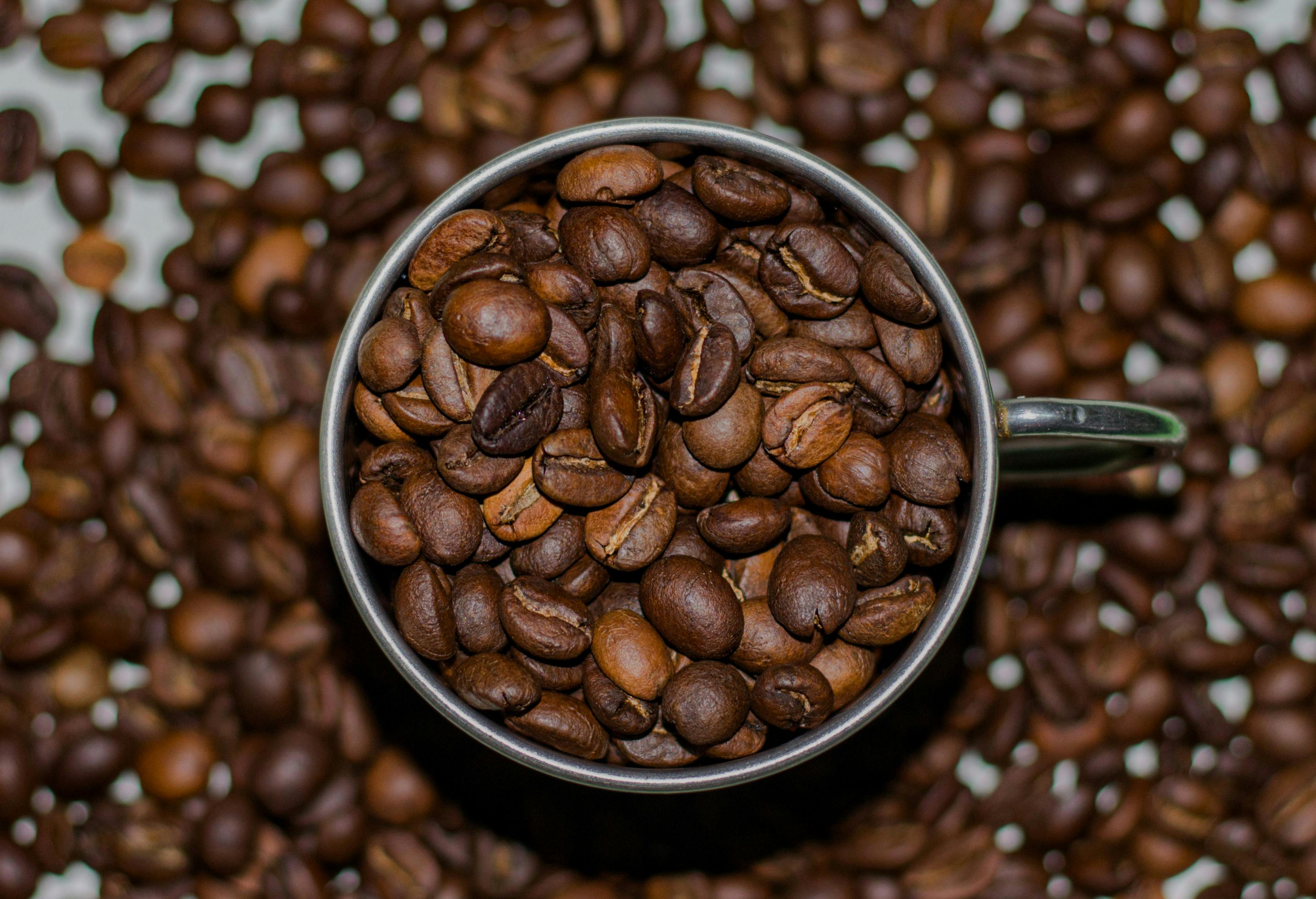 Raw Pixels Photos, Download The BEST Free Raw Pixels Stock Photos & HD ...