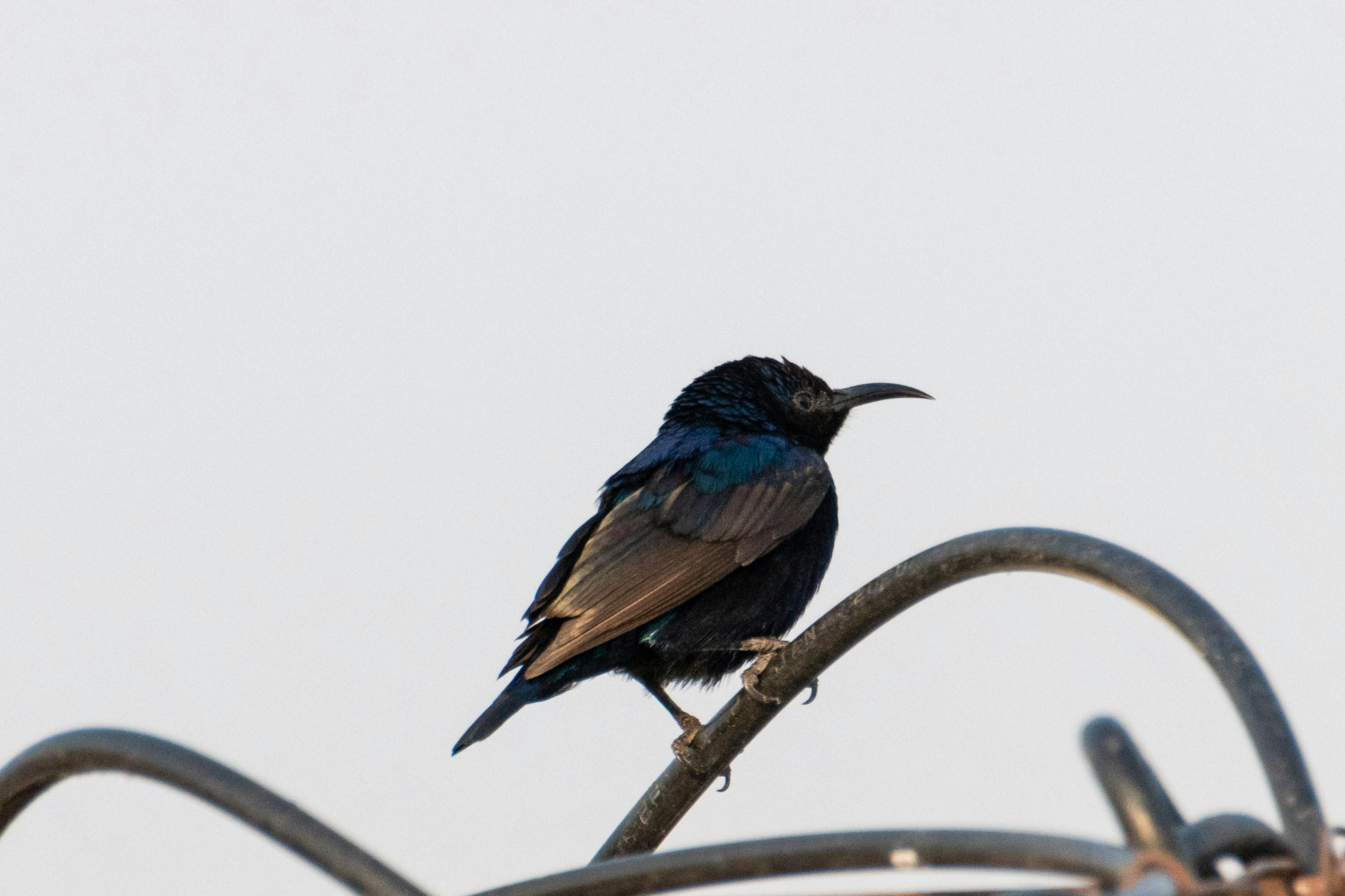 Metal Ememy Photos, Download The BEST Free Metal Ememy Stock Photos ...