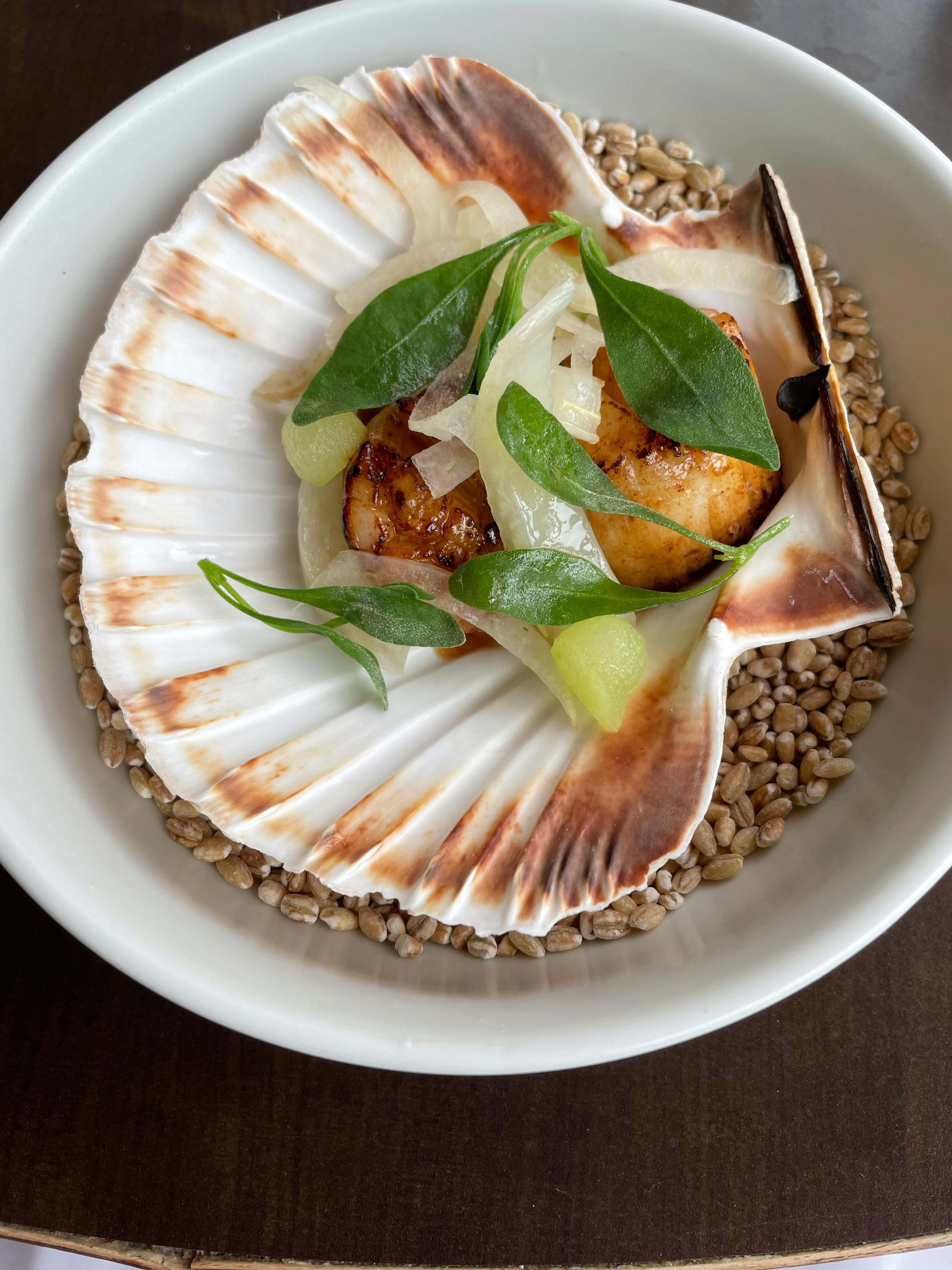 Gourmet Scallop Dish in Shell Plating · Free Stock Photo