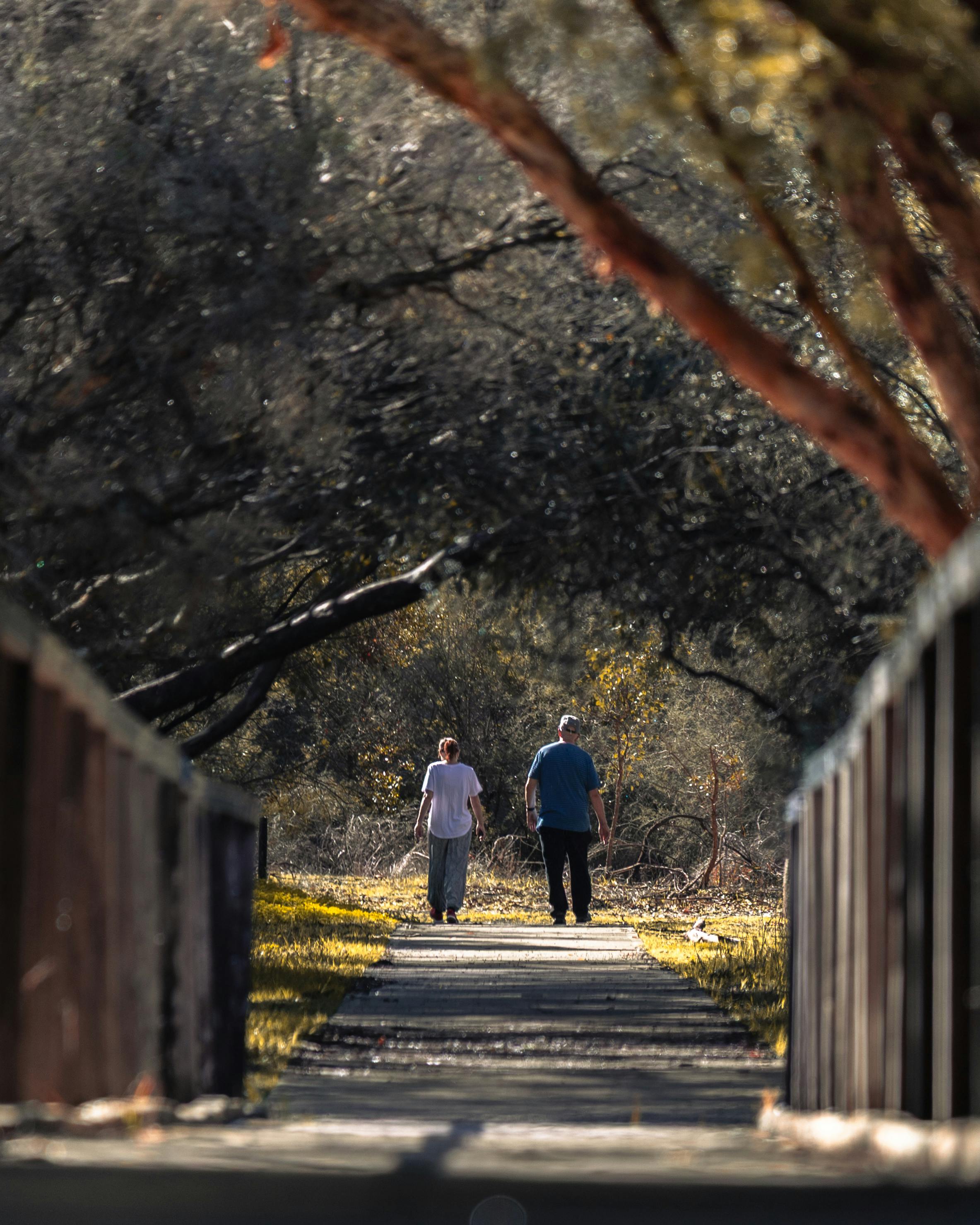 Raycast+Wallpapers Photos, Download The BEST Free Raycast+Wallpapers ...