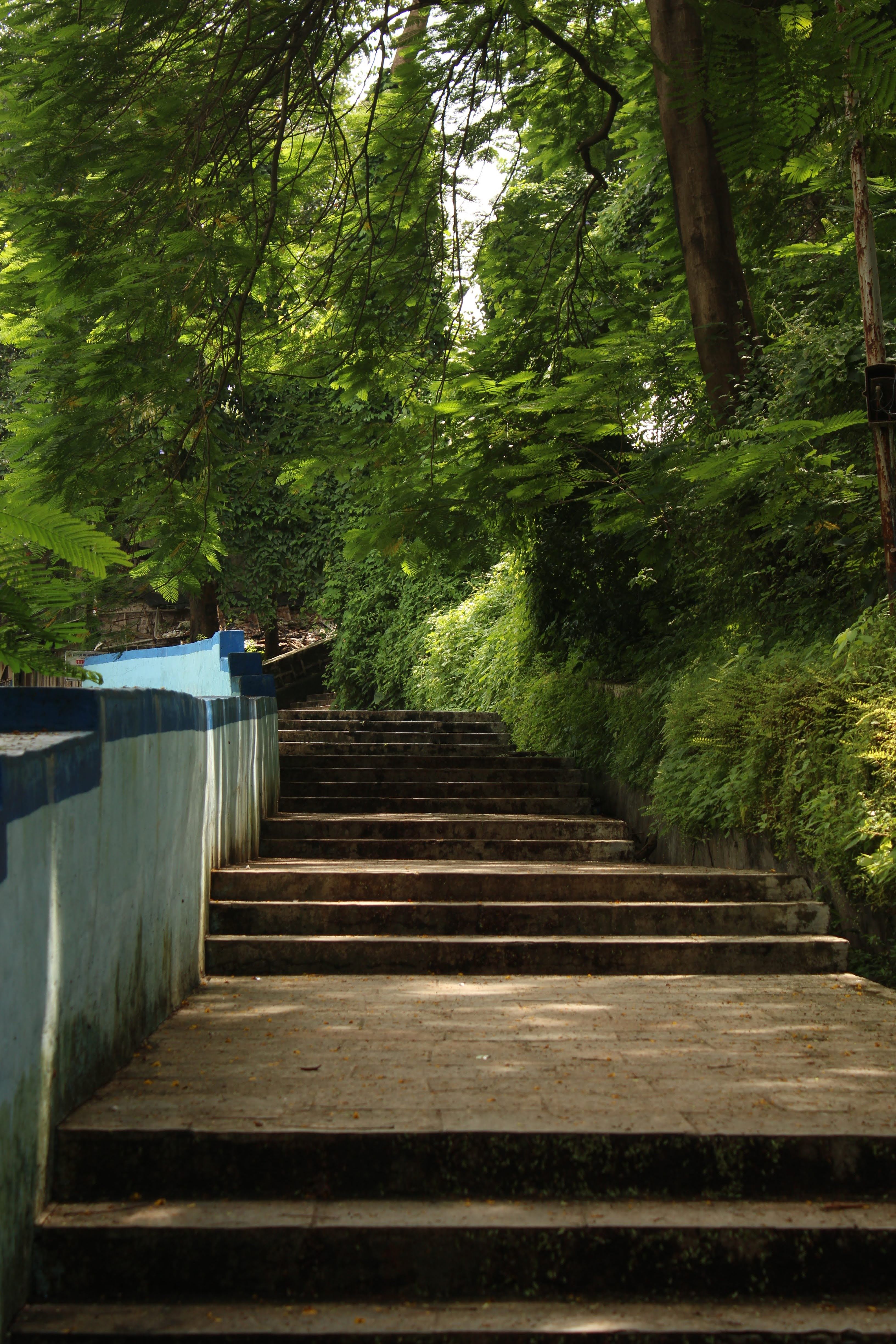 Serene Green Pathway Staircase in Mumbai · Free Stock Photo