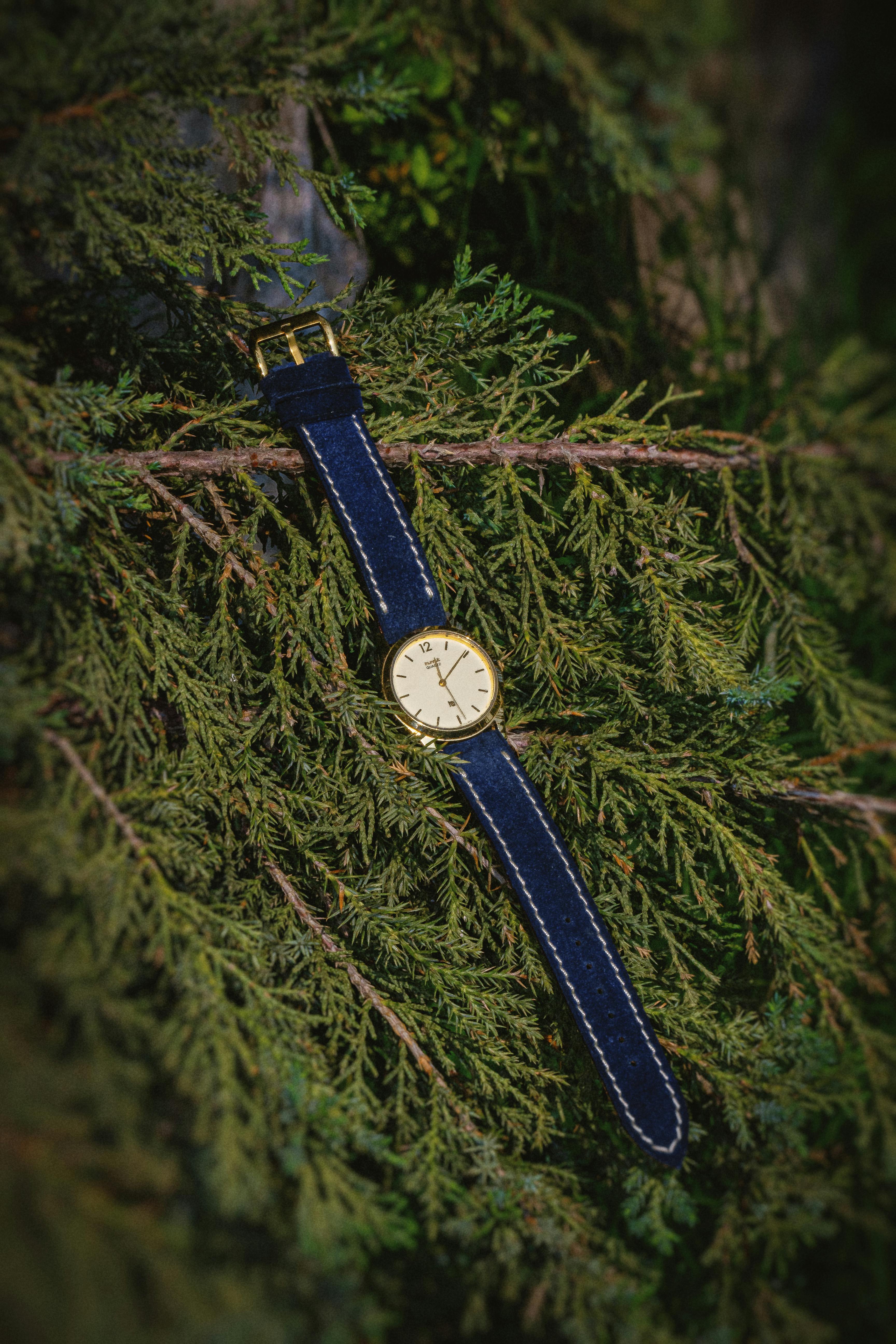 Elegant Vintage Watch with Navy Strap on Foliage · Free Stock Photo