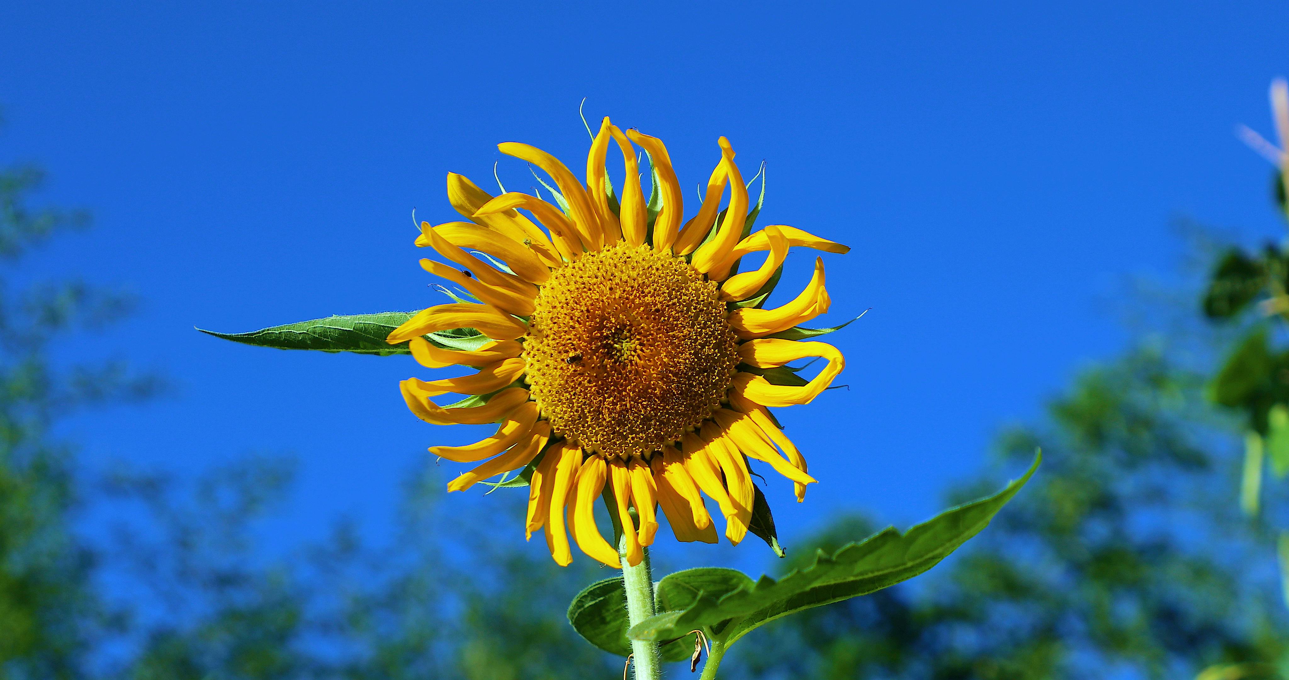 Bgmi+Thumbnail+Hd+4k Photos, Download The BEST Free Bgmi+Thumbnail+Hd+ ...