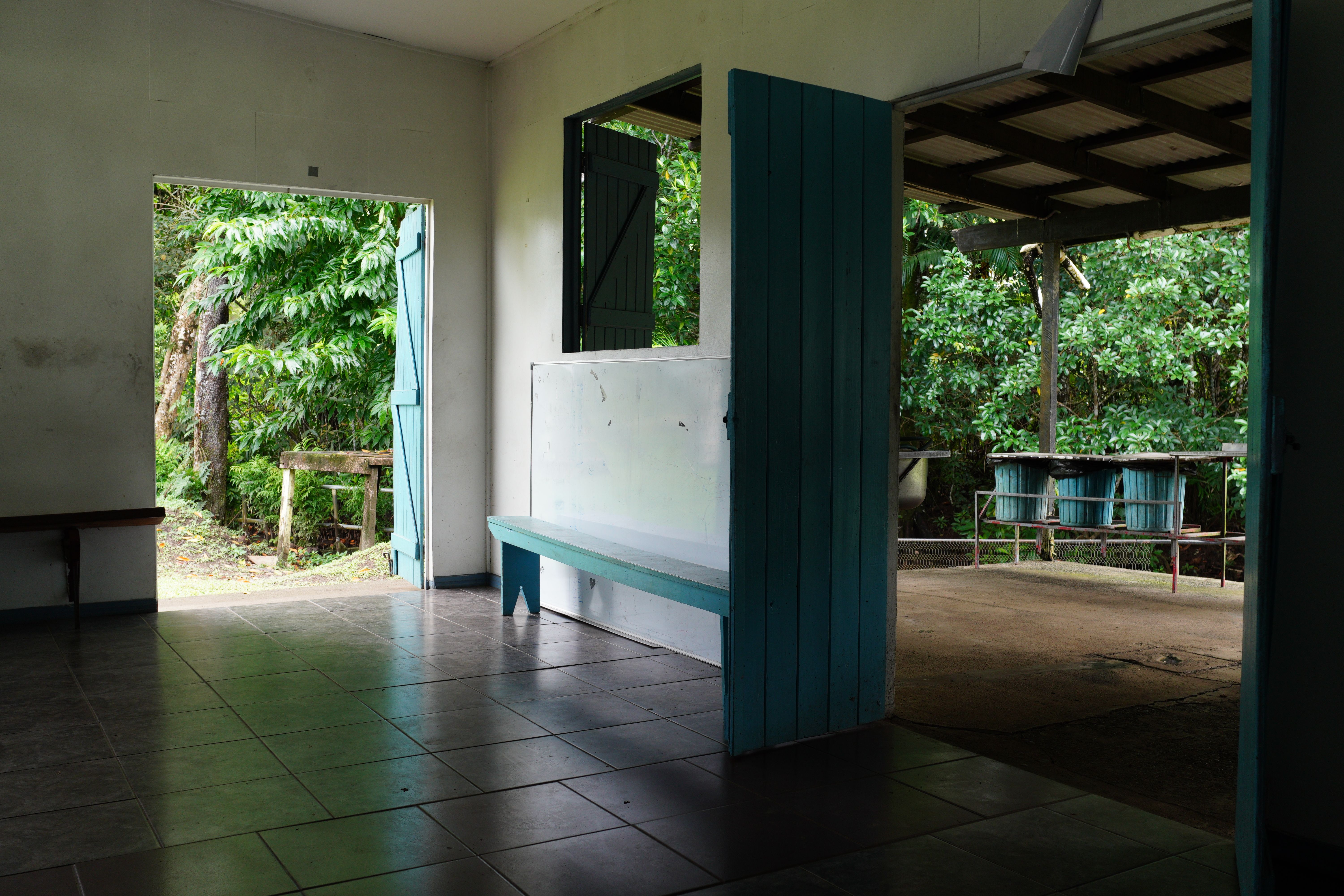 Open Doorway View to Lush Outdoor Scenery · Free Stock Photo