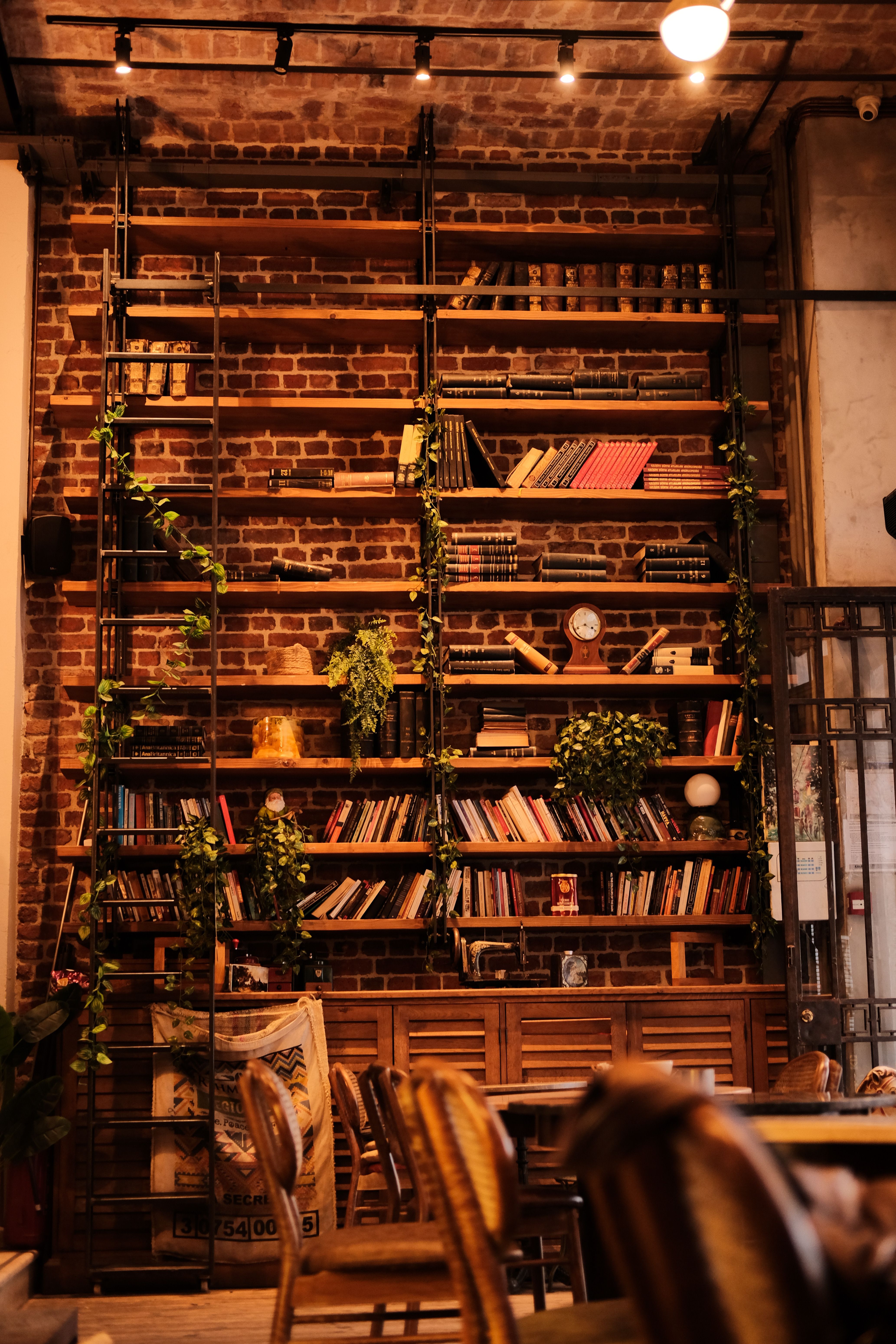 Library, Books Photos, Download The BEST Free Library, Books Stock ...
