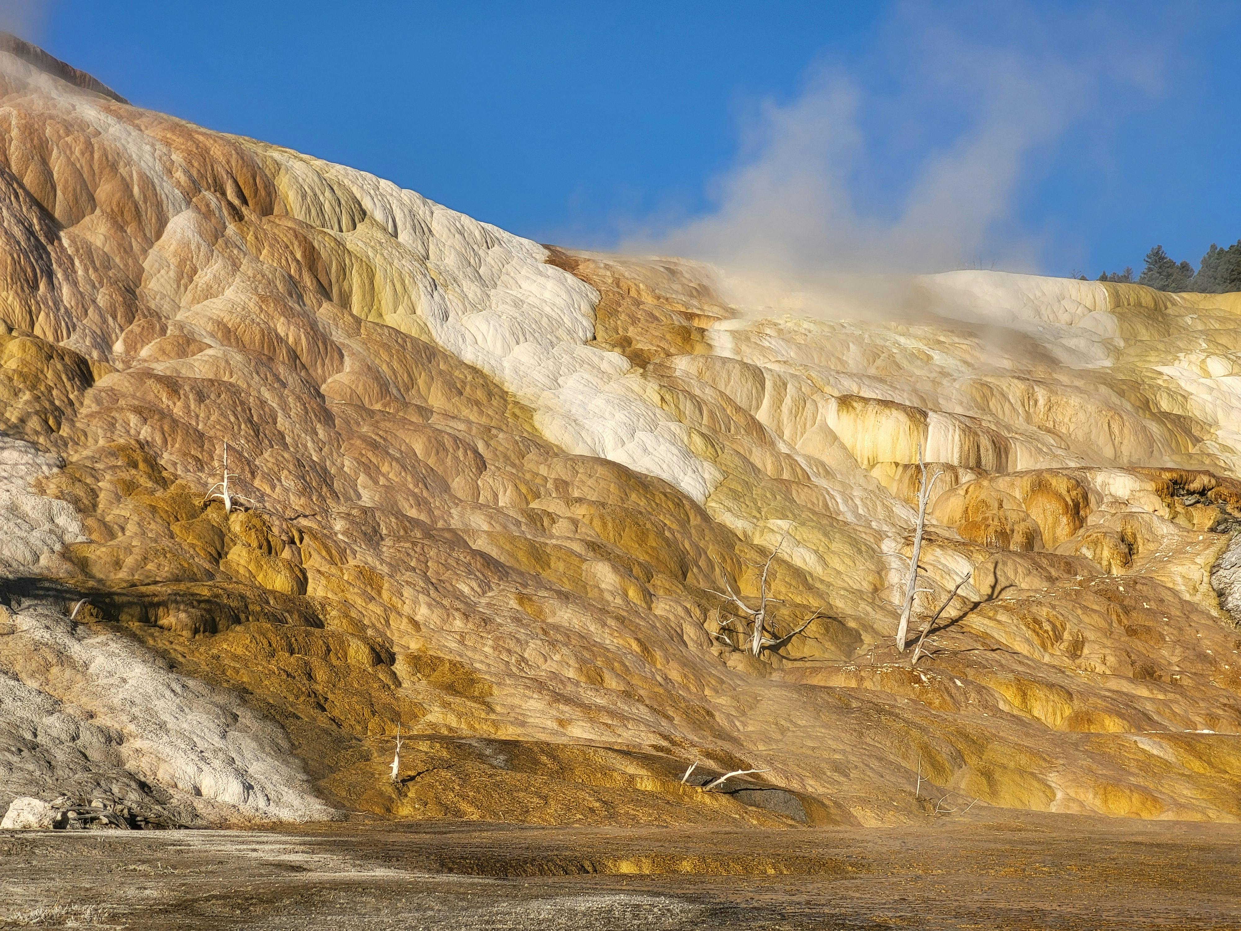 Deposition Photos, Download The BEST Free Deposition Stock Photos & HD ...