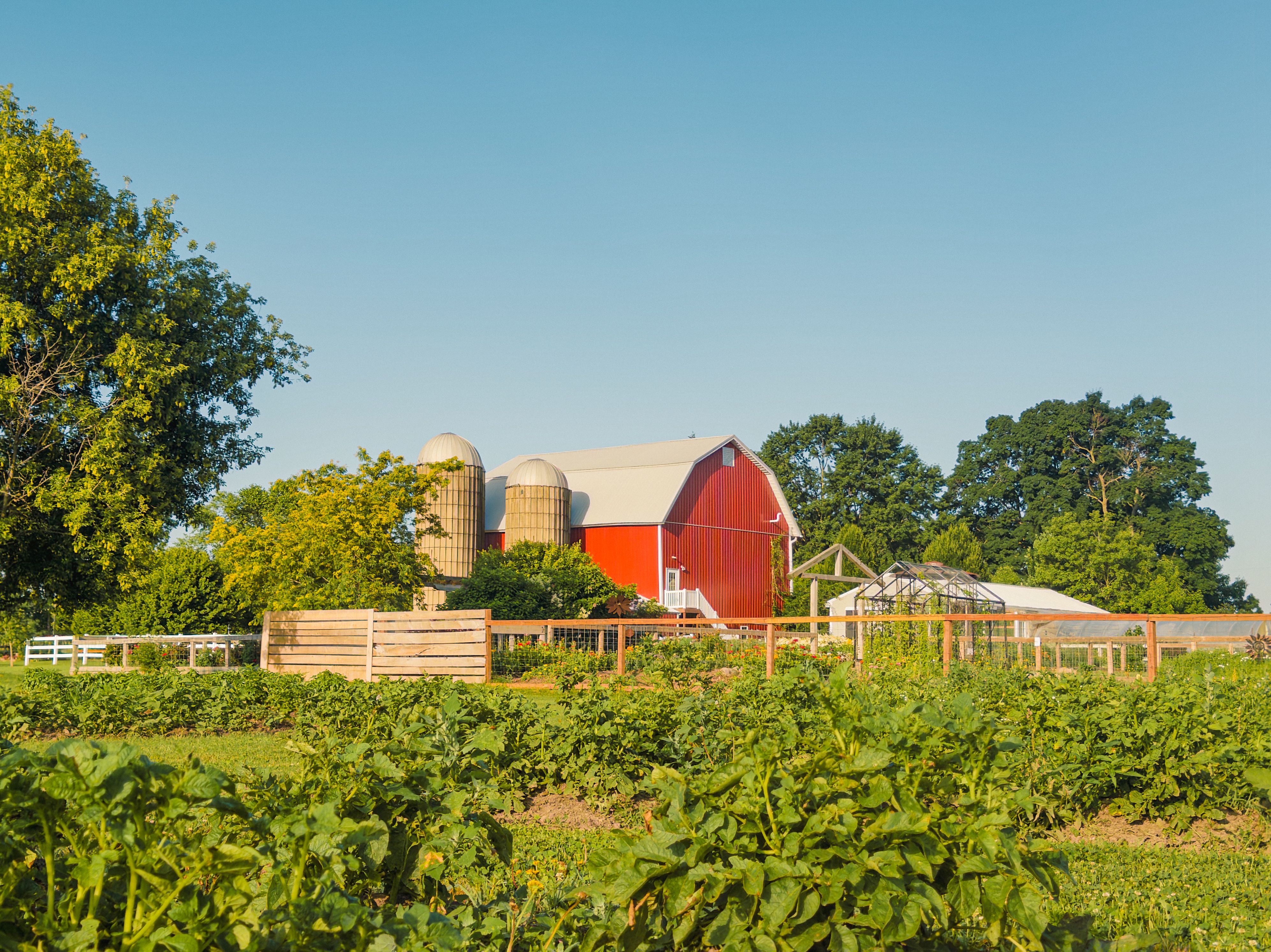 Scenic Red Barn on a Sunny Michigan Farm · Free Stock Photo
