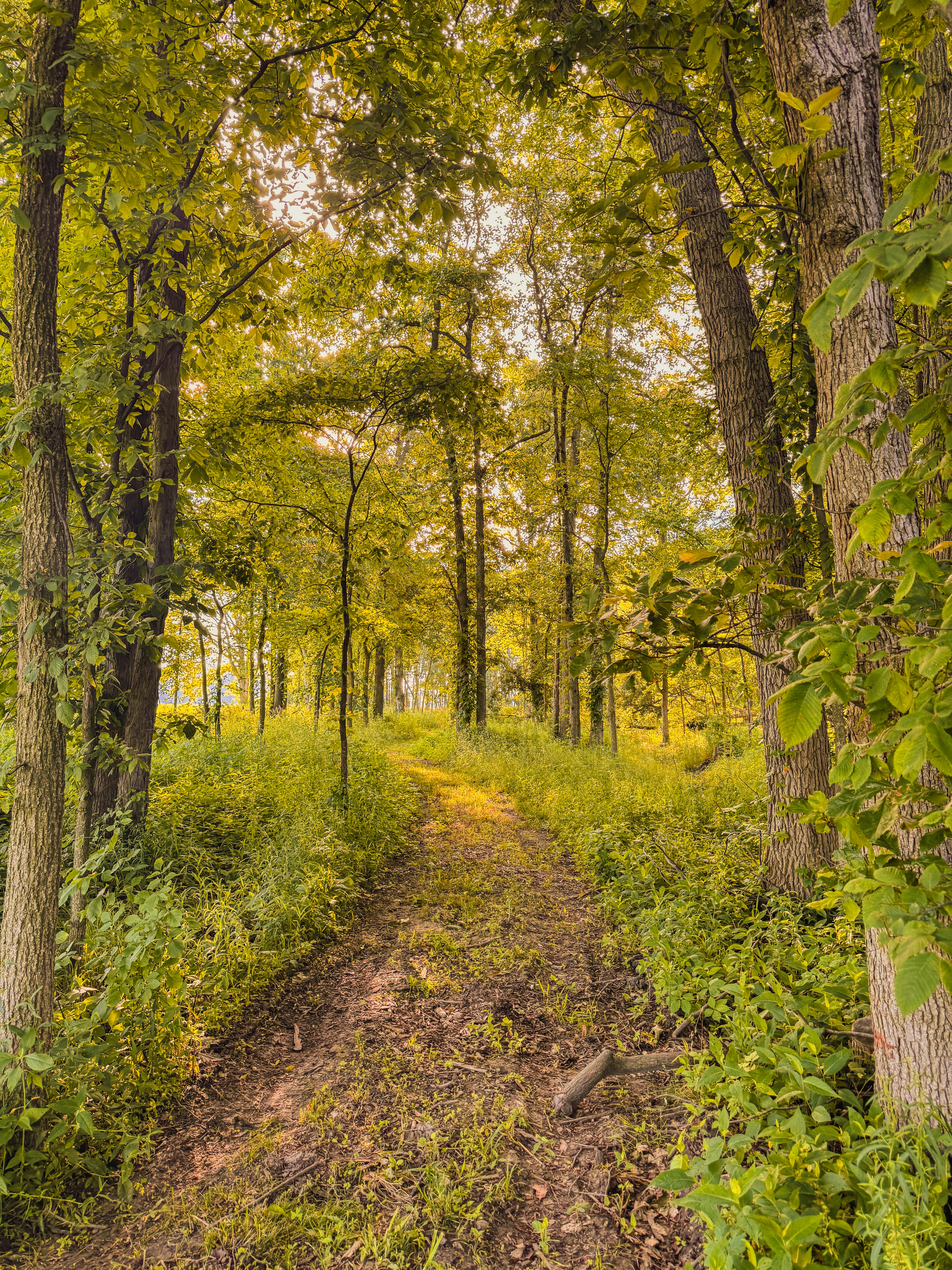 4k Rustic Photos, Download The BEST Free 4k Rustic Stock Photos & HD Images