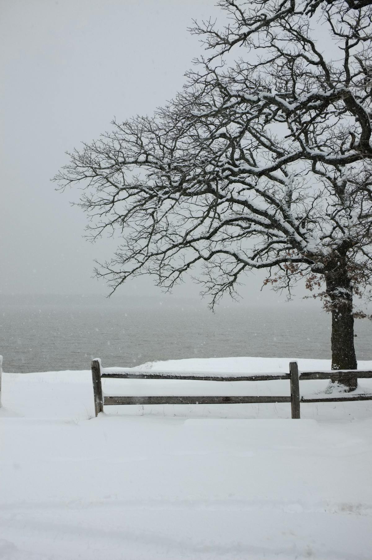 Snowy Landscape Photos, Download The BEST Free Snowy Landscape Stock ...