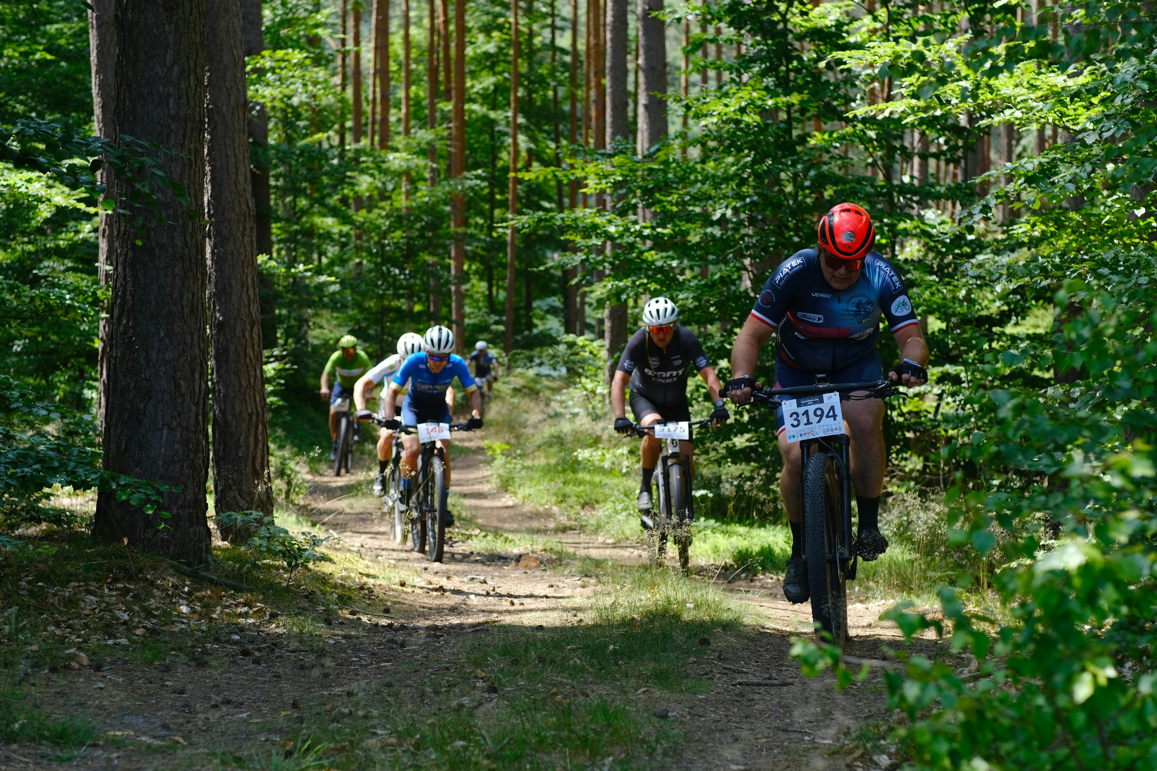 Mountain Biking Race Through Forest Trail · Free Stock Photo