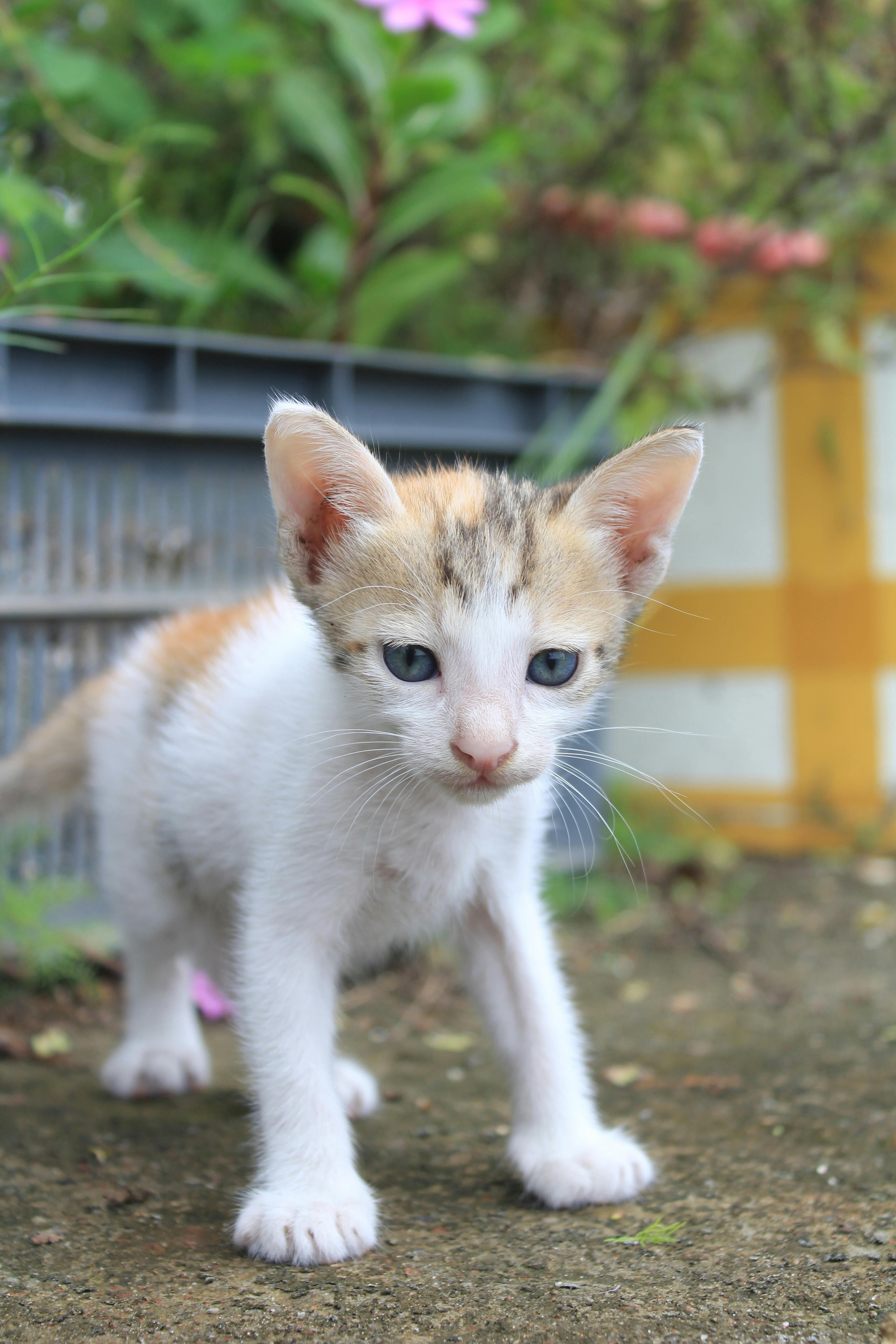 Cute+Jb+Girls Photos, Download The BEST Free Cute+Jb+Girls Stock Photos ...