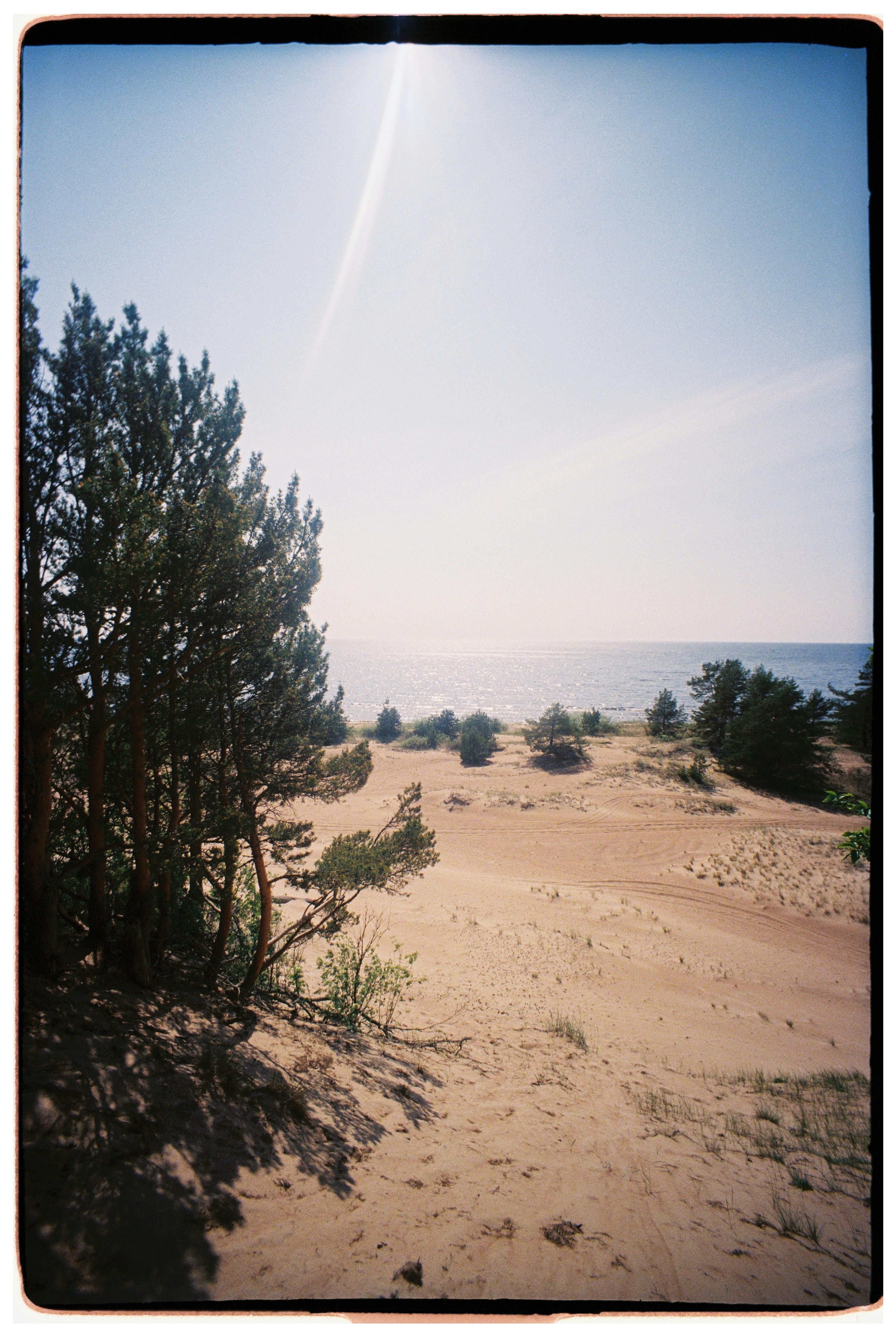 Easyanticheat Setup.Exe Noon Theda Photos, Download The BEST Free ...