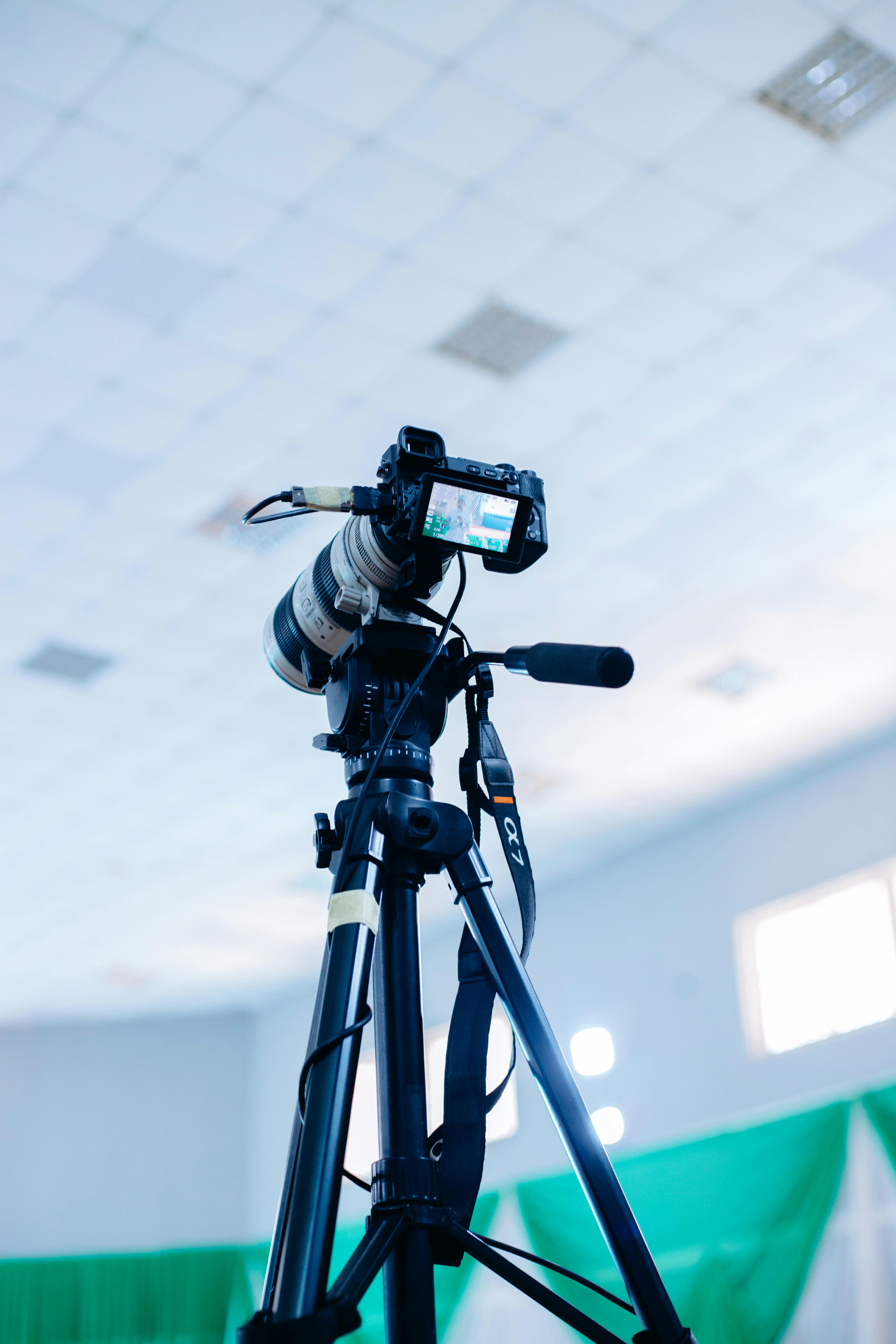 Wednesday+Fall+Images Photos, Download The BEST Free Wednesday+Fall ...