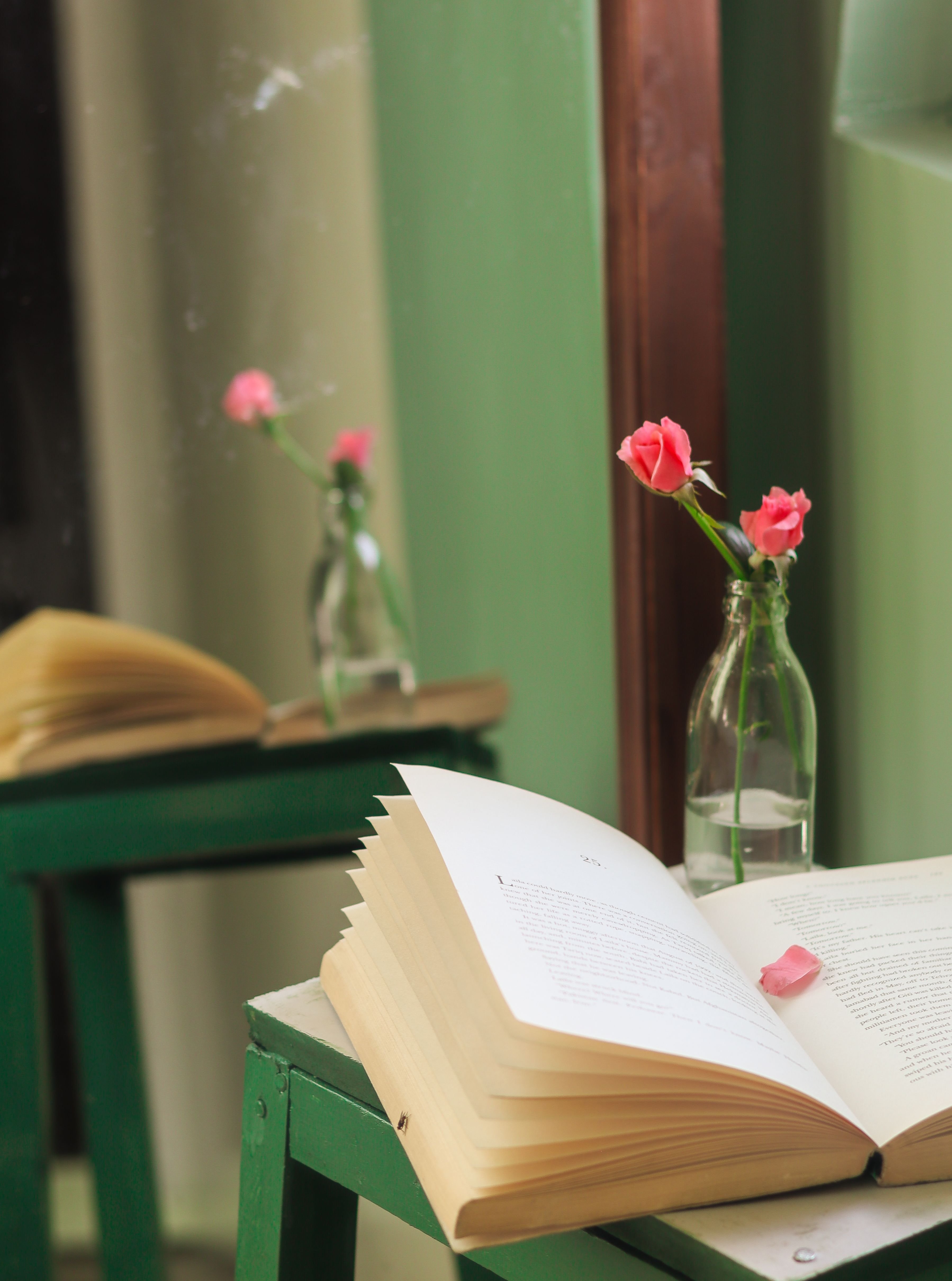 Peaceful Reading Nook with a Touch of Nature · Free Stock Photo
