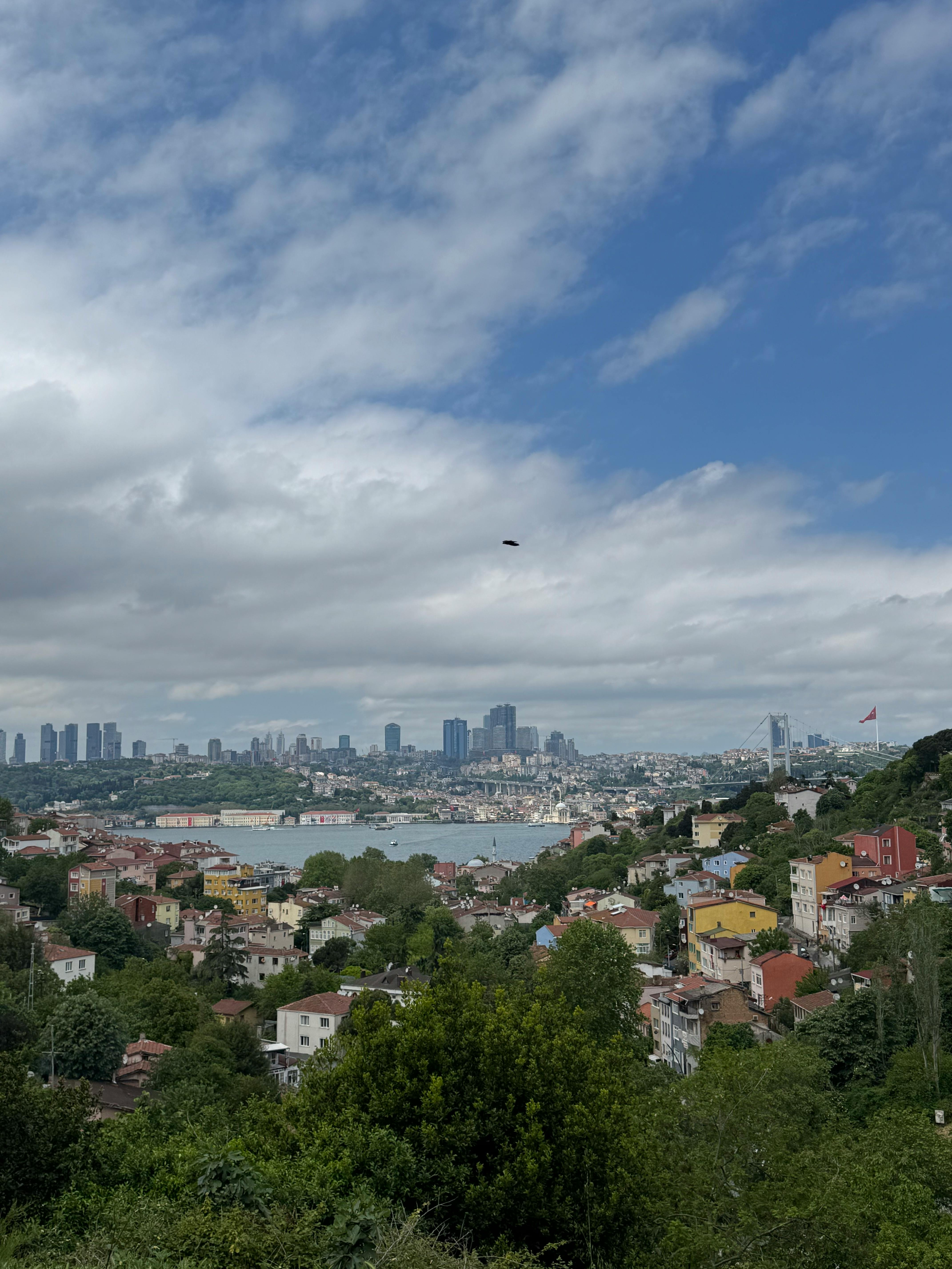 30,000+ 張最佳 Image Colis 相片 · 100% 免費下載 · Pexels 圖庫相片