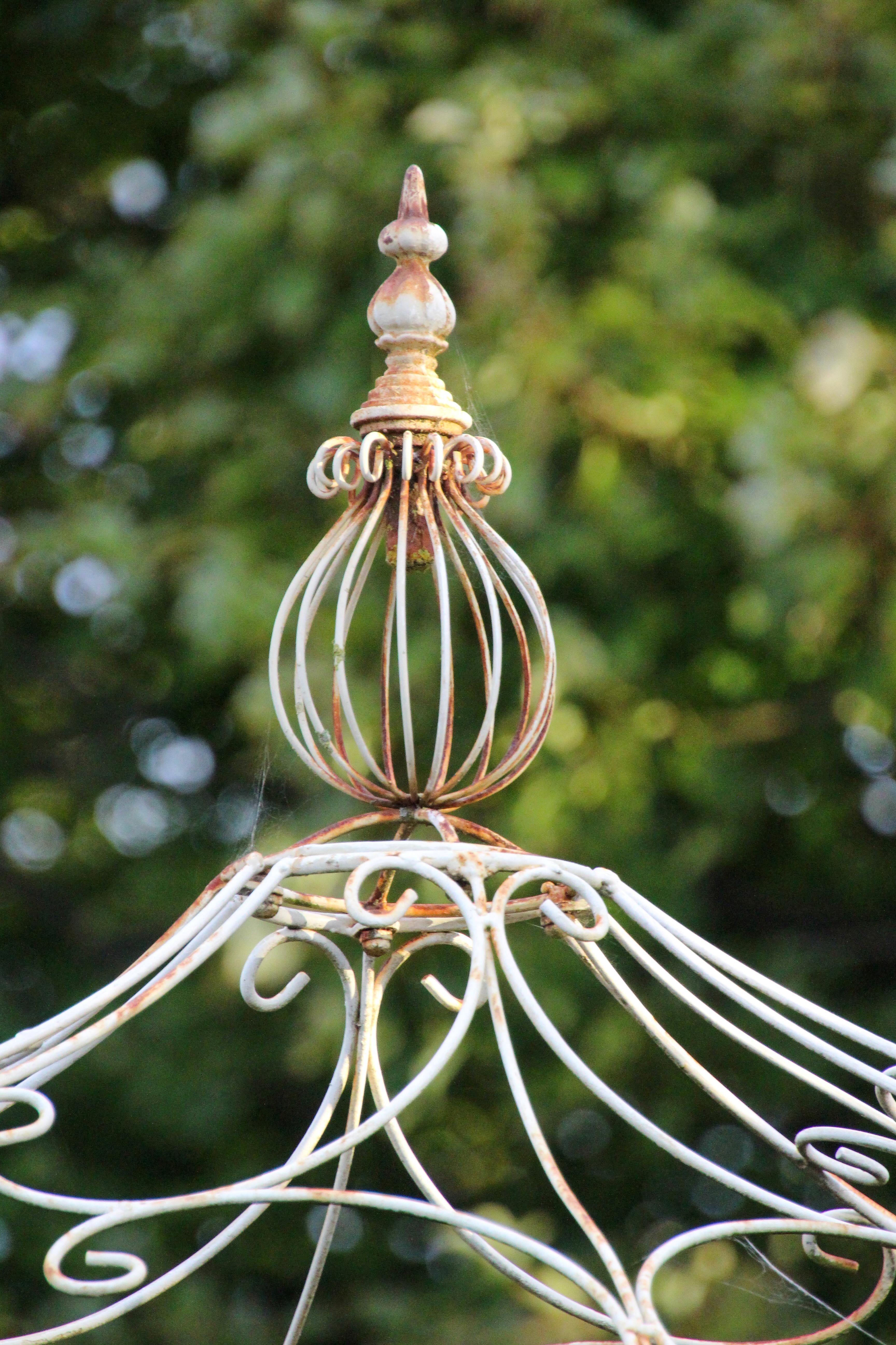 Rustic Wrought Iron Detail Against Nature · Free Stock Photo