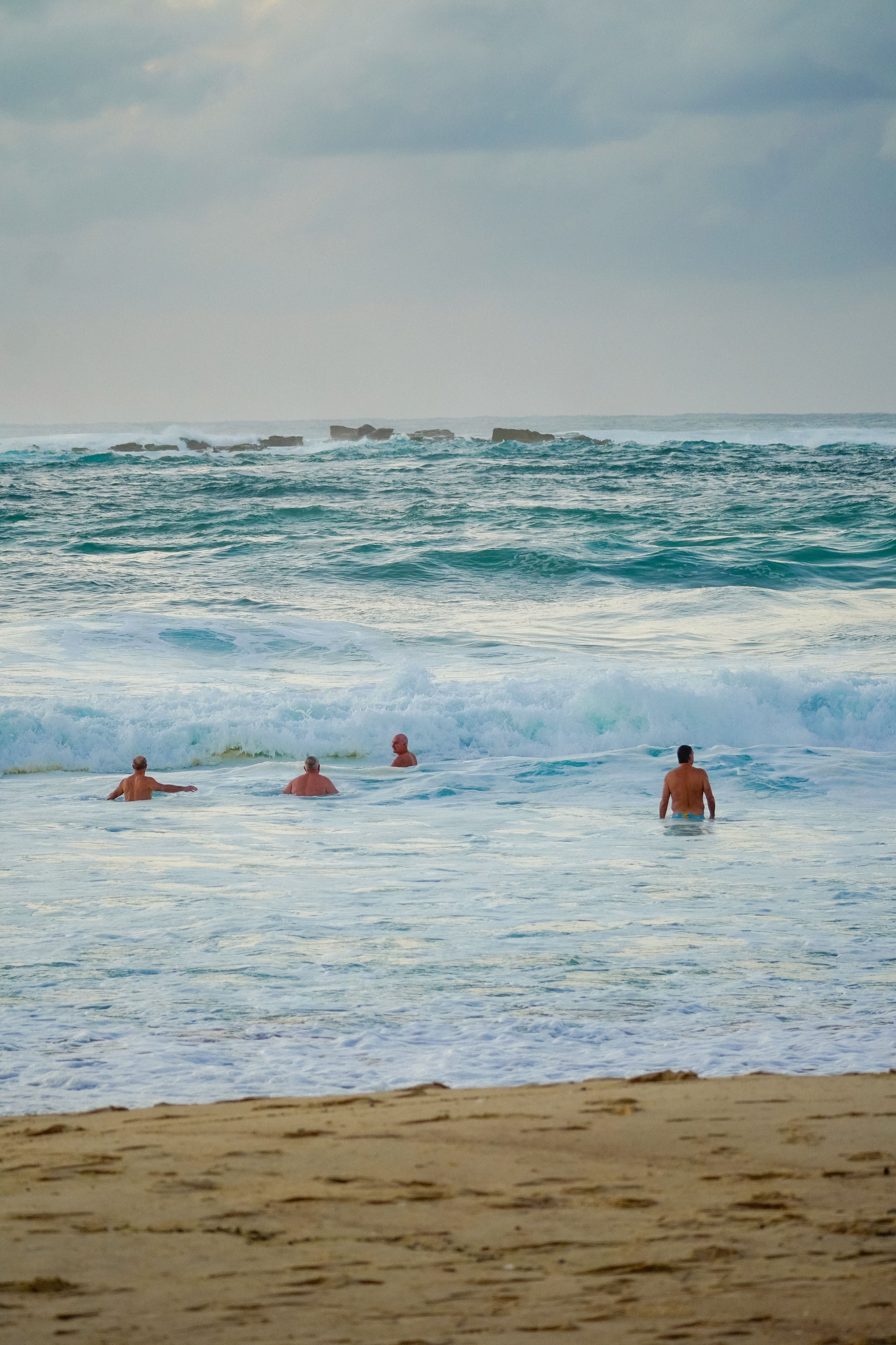 Sea Swim Photos, Download The BEST Free Sea Swim Stock Photos & HD Images