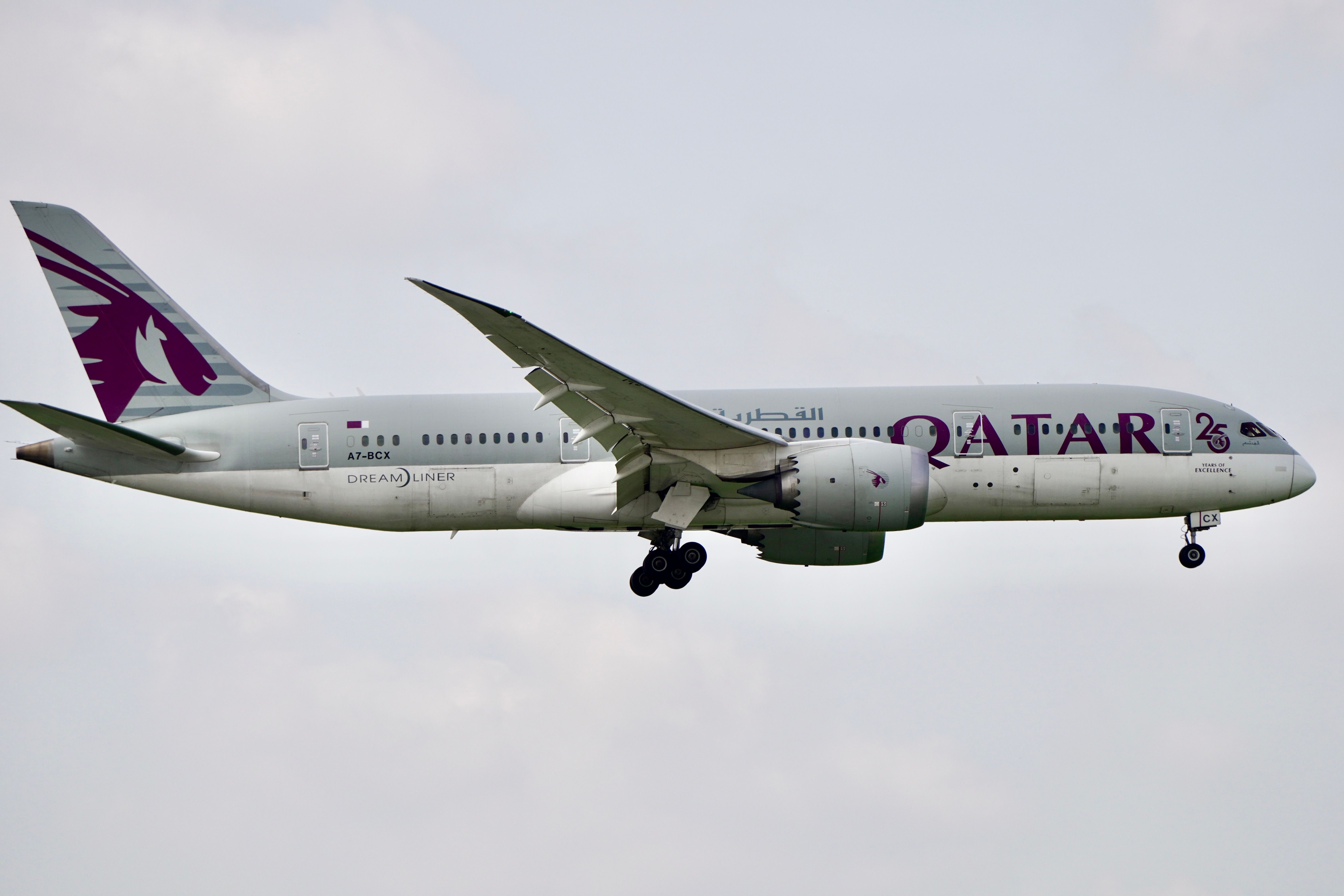 Qatar Airways Boeing 787 Dreamliner in Flight · Free Stock Photo