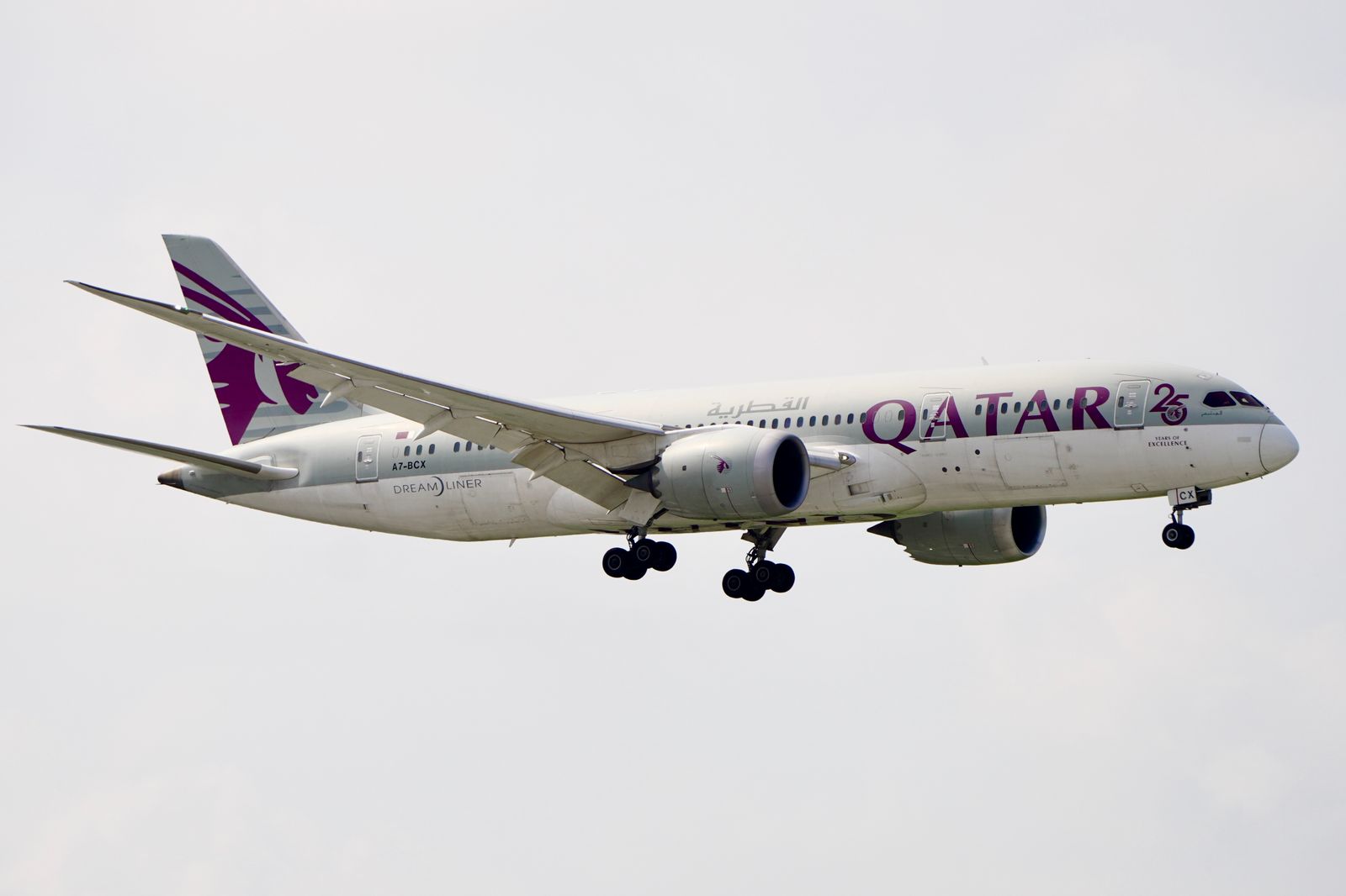 Boeing 787 Photos, Download The BEST Free Boeing 787 Stock Photos & HD ...