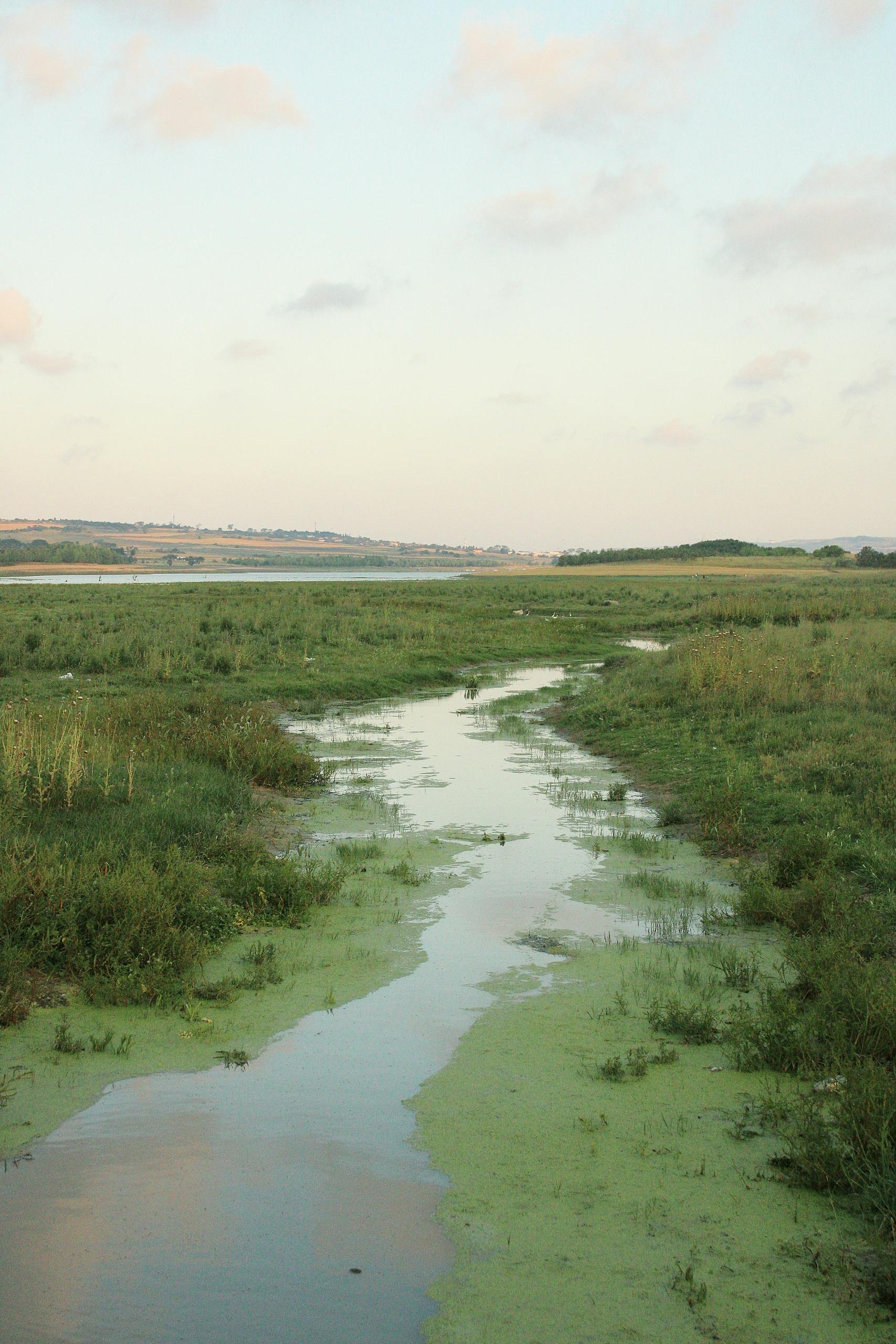 Cabbage+Images Photos, Download The BEST Free Cabbage+Images Stock ...