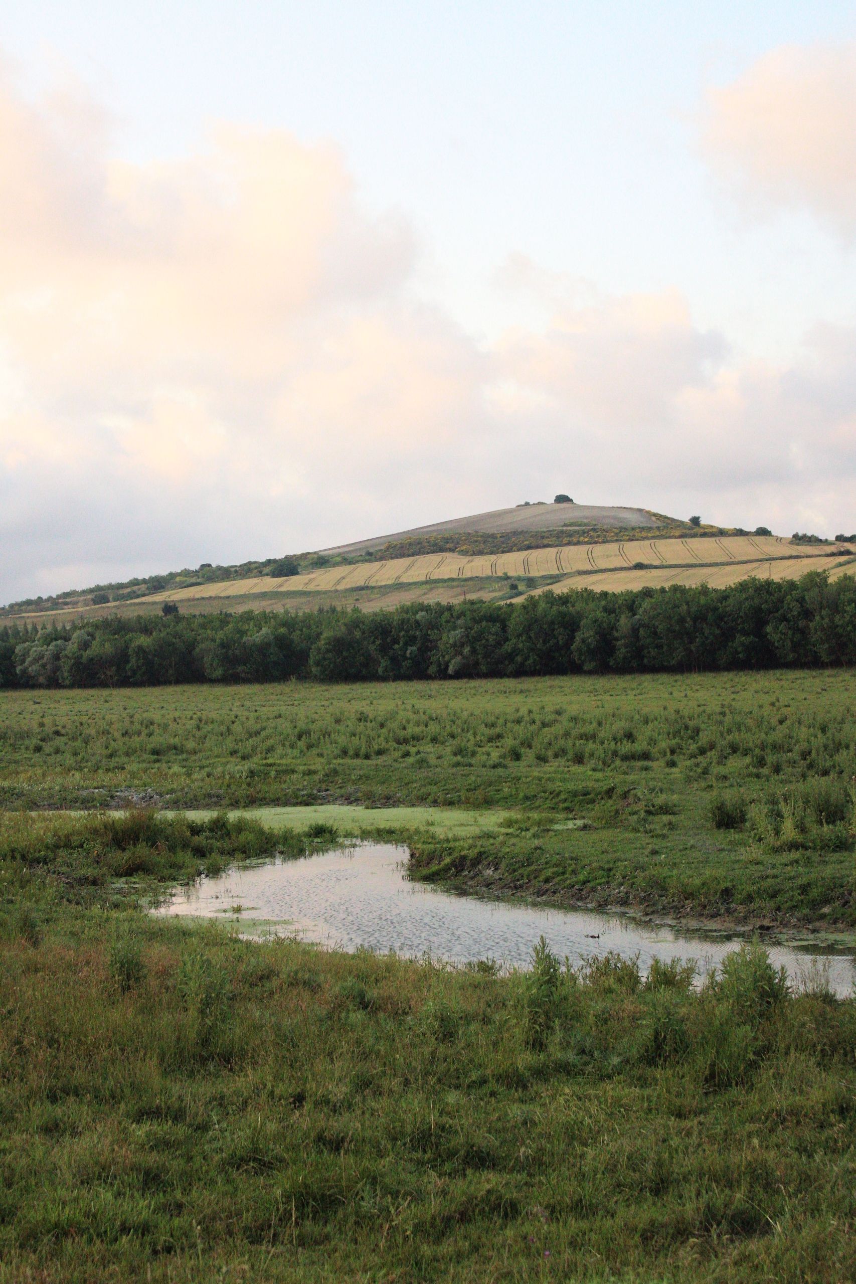 Meadow Stream Photos, Download The BEST Free Meadow Stream Stock Photos ...