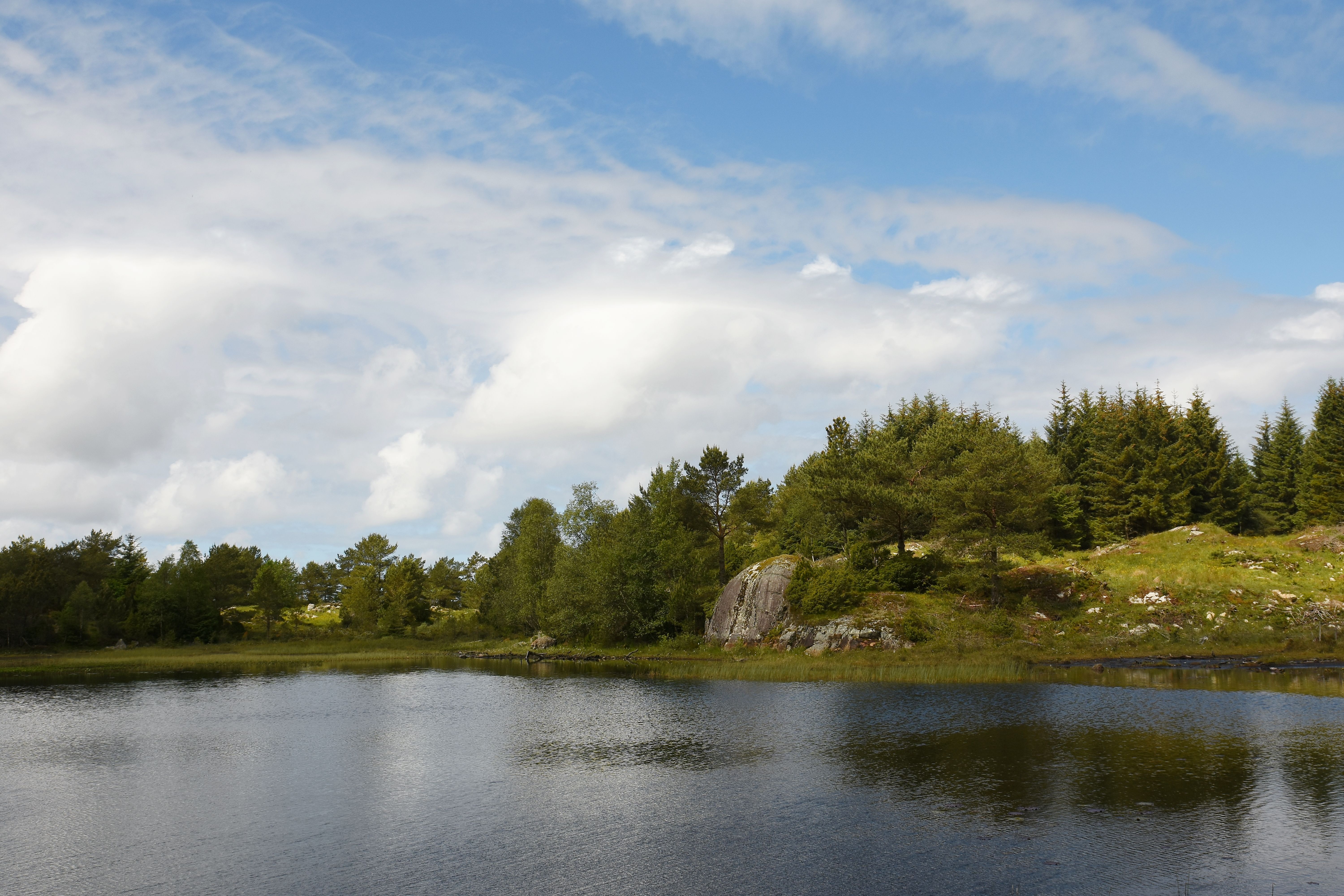 Scenic Summer Landscape in Fitjar Norway · Free Stock Photo