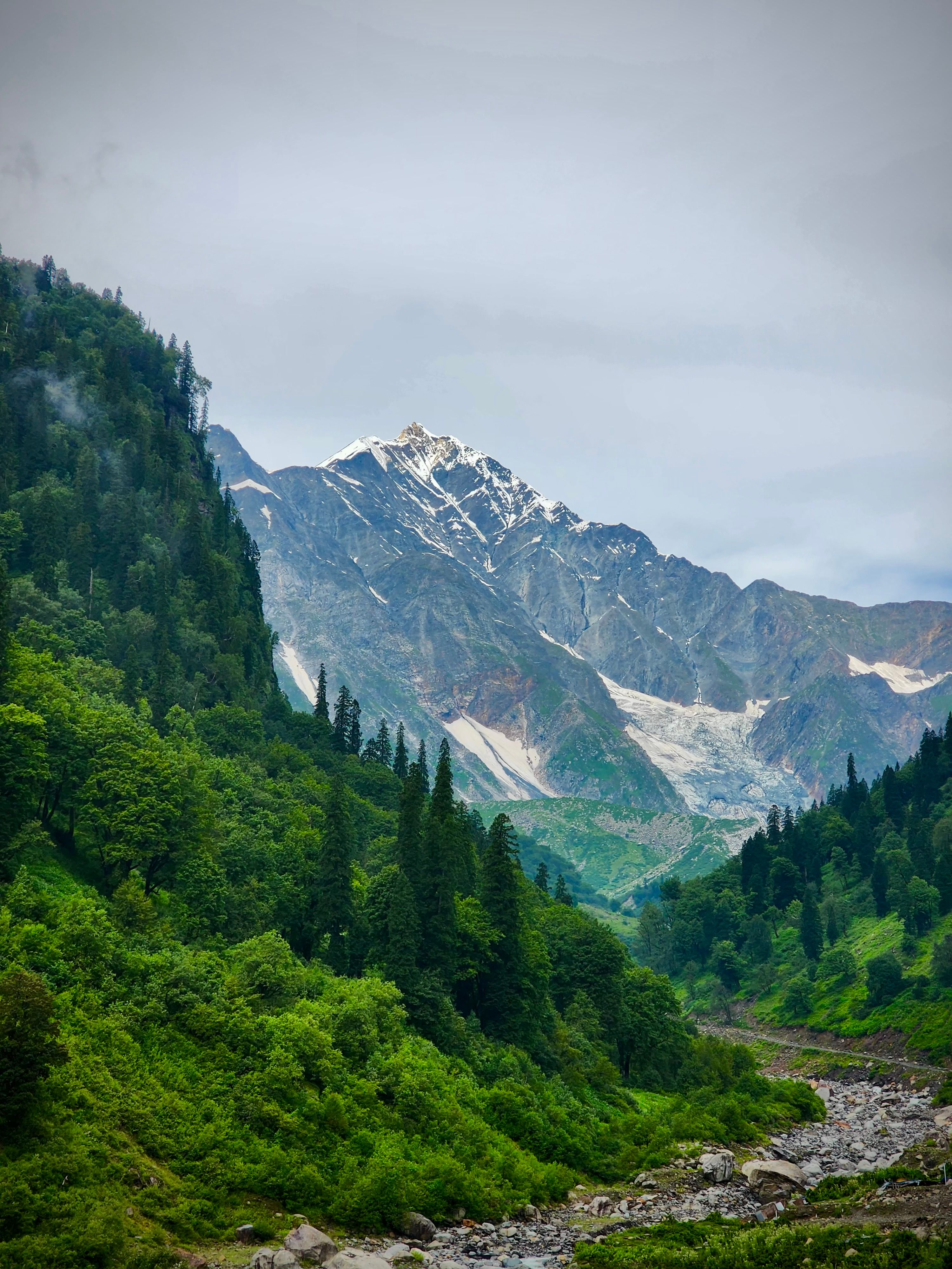 Green Trees on Mountain · Free Stock Photo