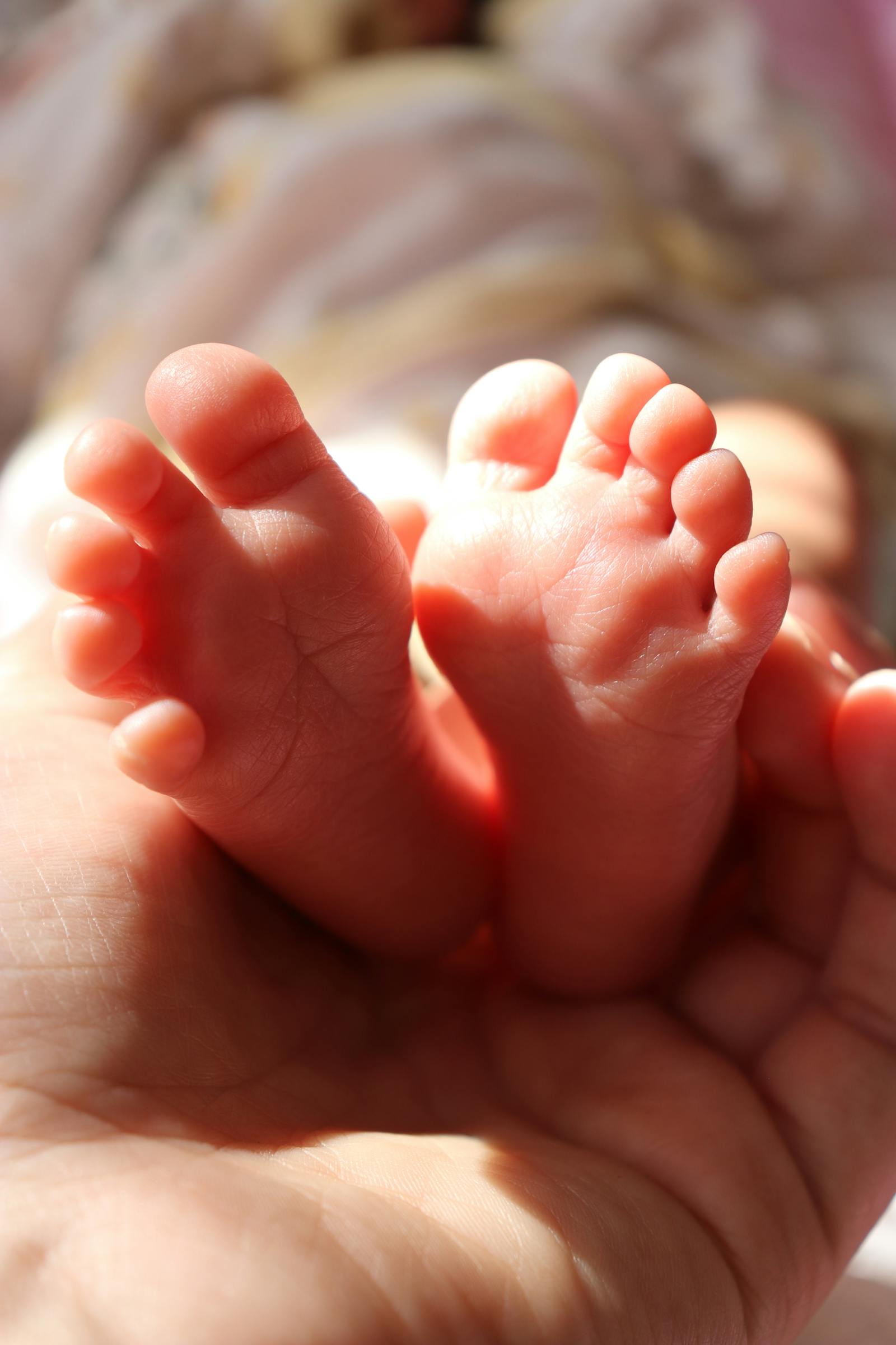 Beautiful Feet Soles Photos, Download The BEST Free Beautiful Feet ...