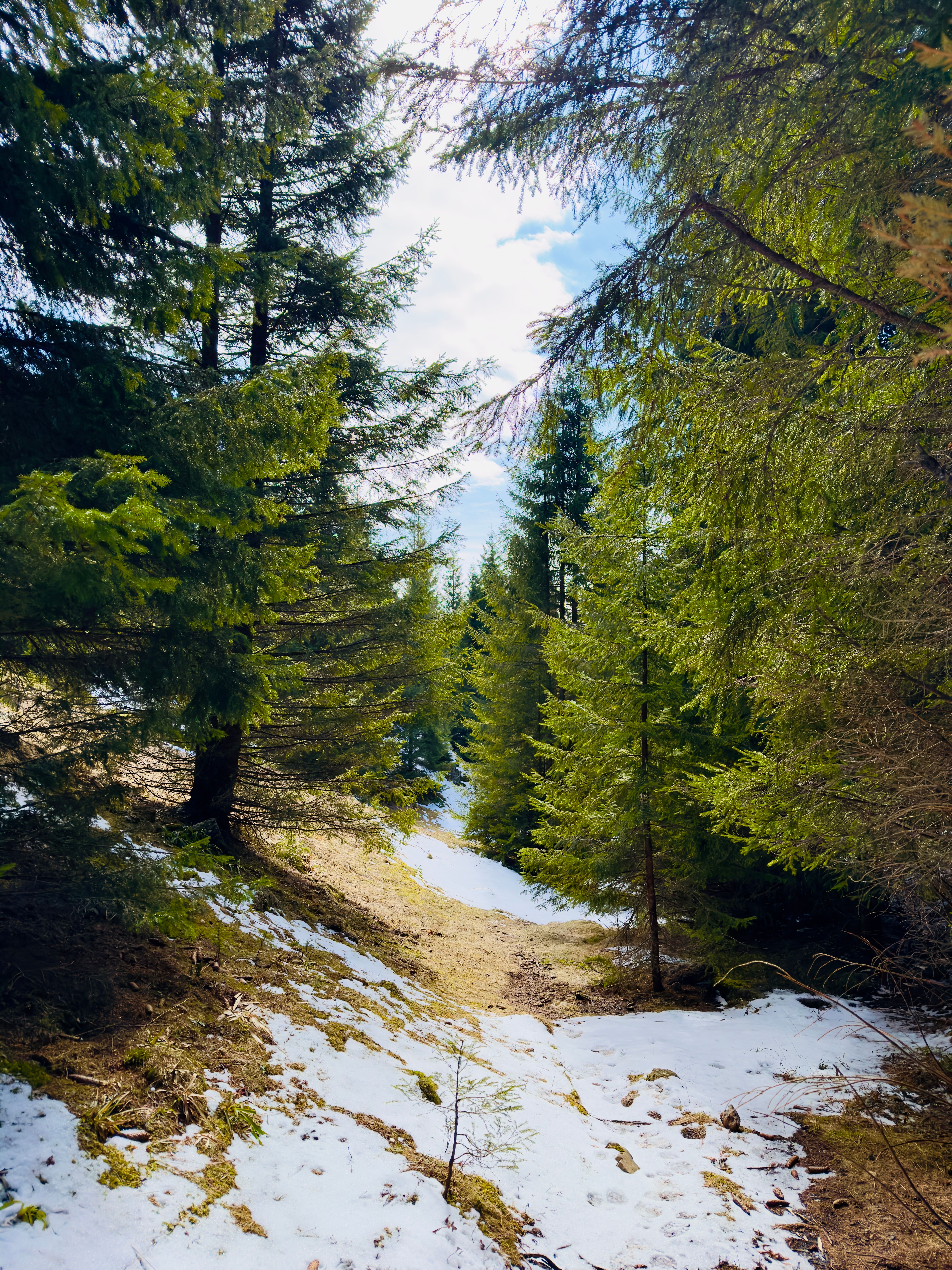 Change Path Photos, Download The BEST Free Change Path Stock Photos ...