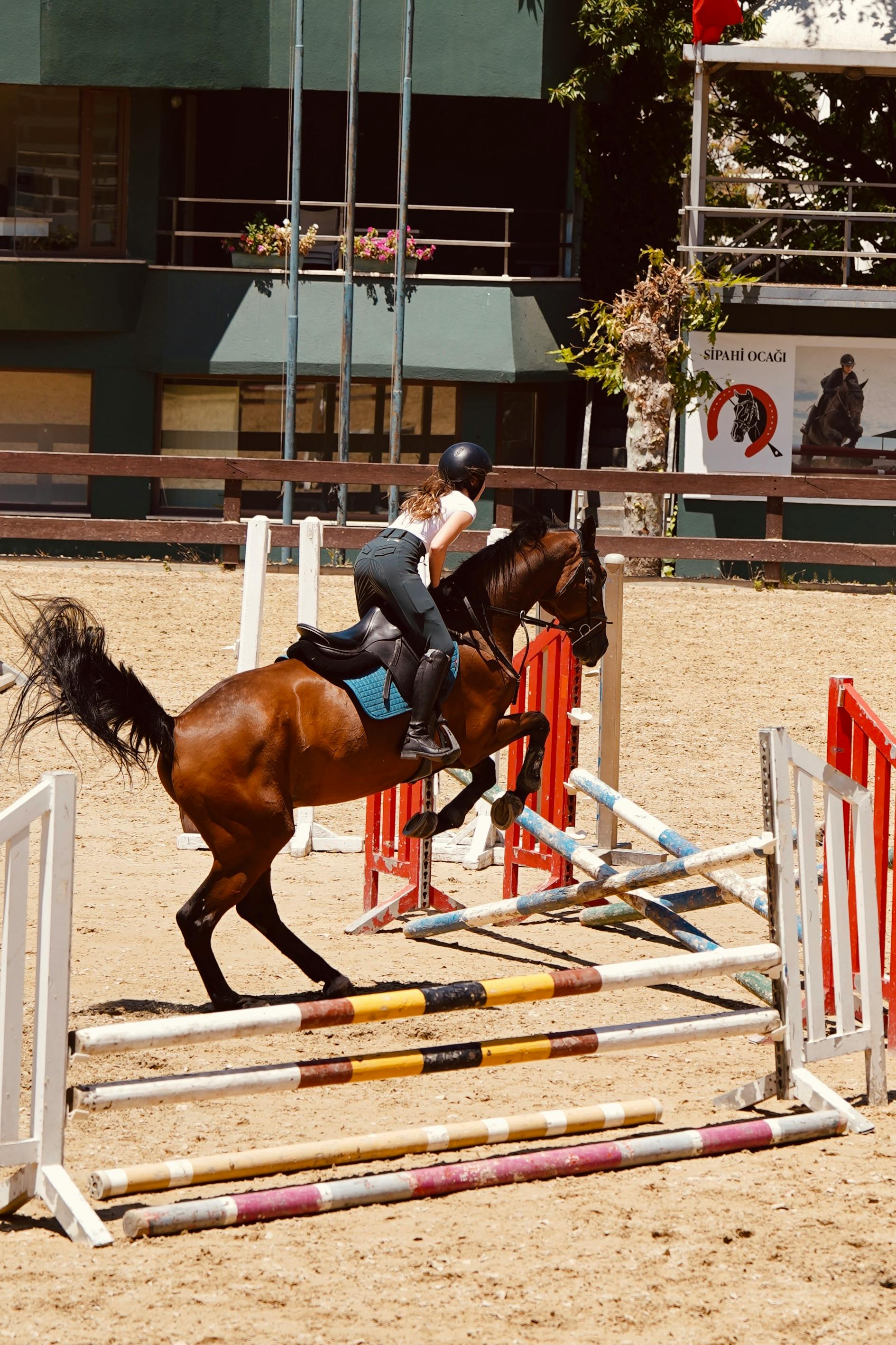 Horse Racing Jump Photos, Download The BEST Free Horse Racing Jump Stock Photos & HD Images