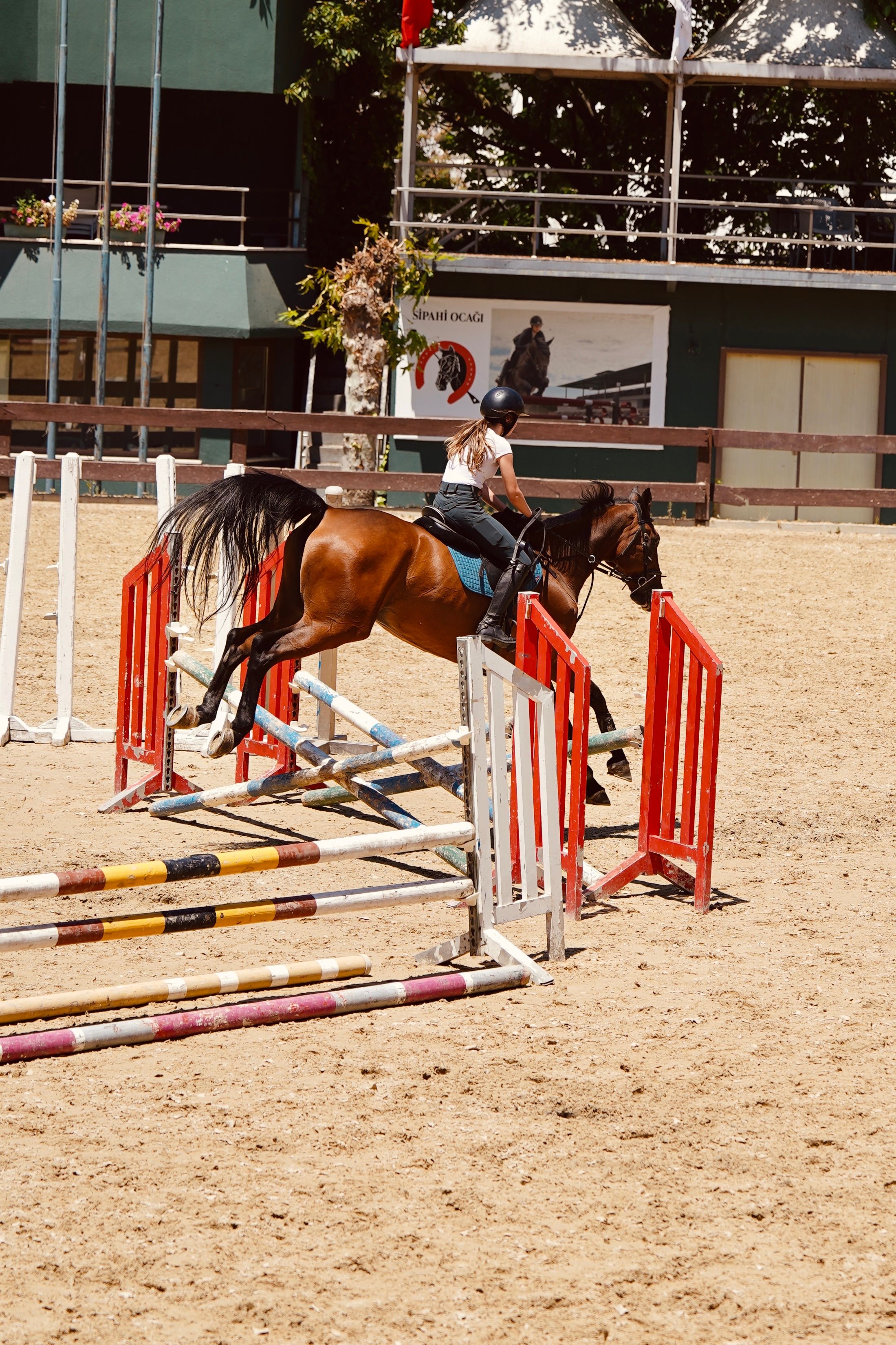 Equestrian Show Jumping Rider on Brown Horse · Free Stock Photo