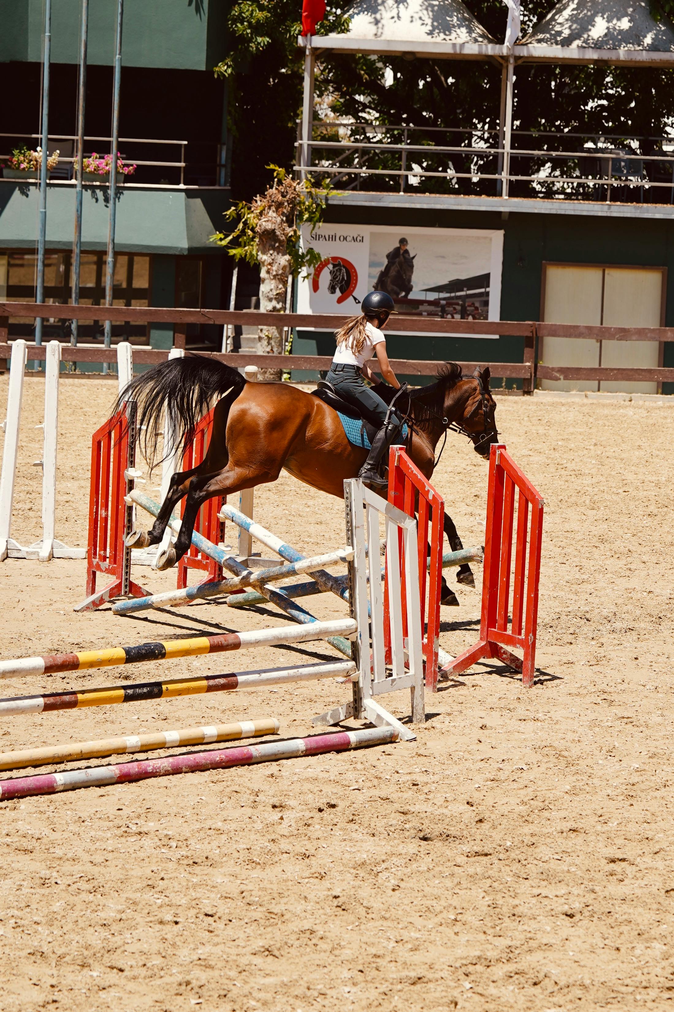 Equestrian Show Jumping Rider on Brown Horse · Free Stock Photo