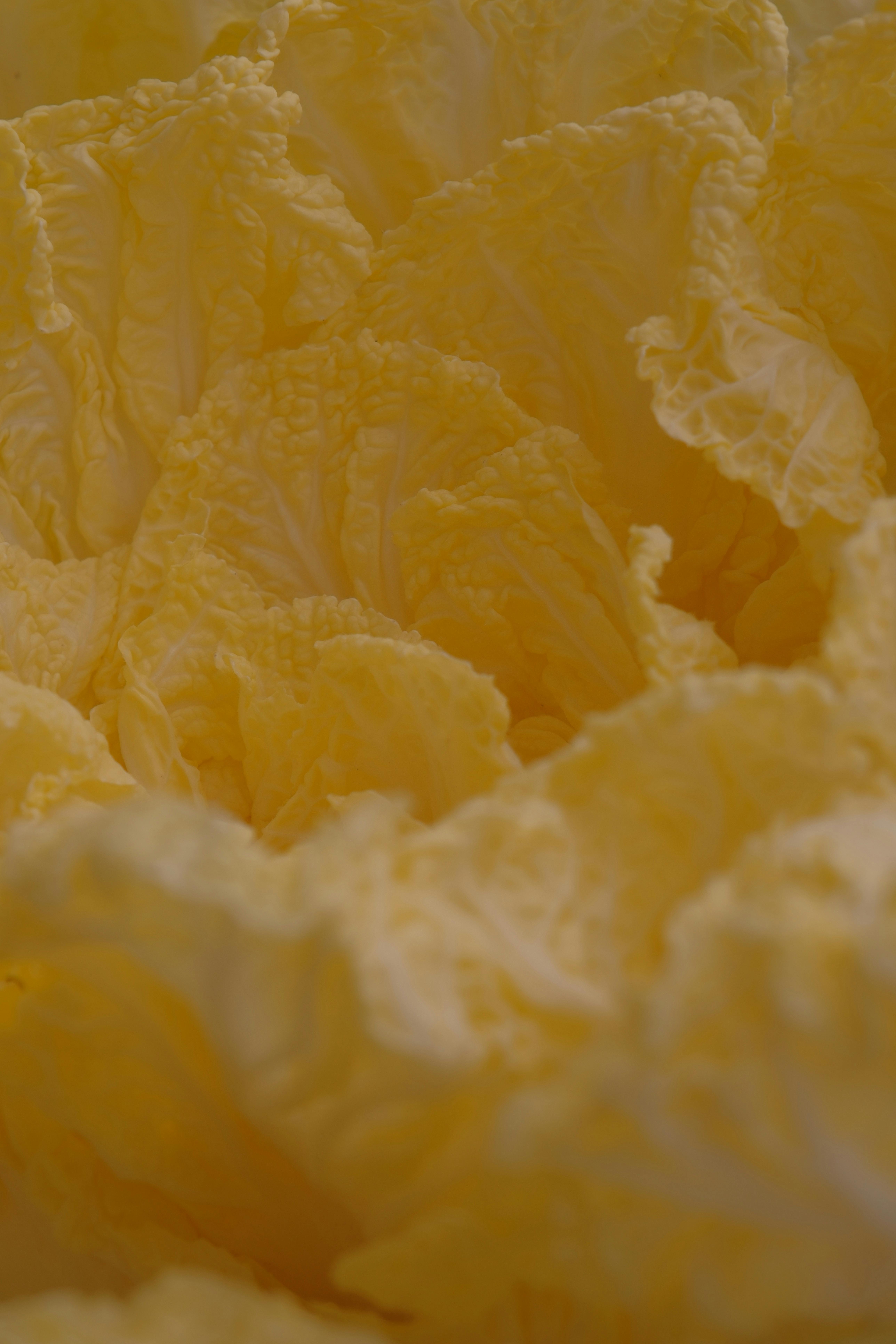 Ass+Up+Head+Down+Gifs Photos, Download The BEST Free Ass+Up+Head+Down ...