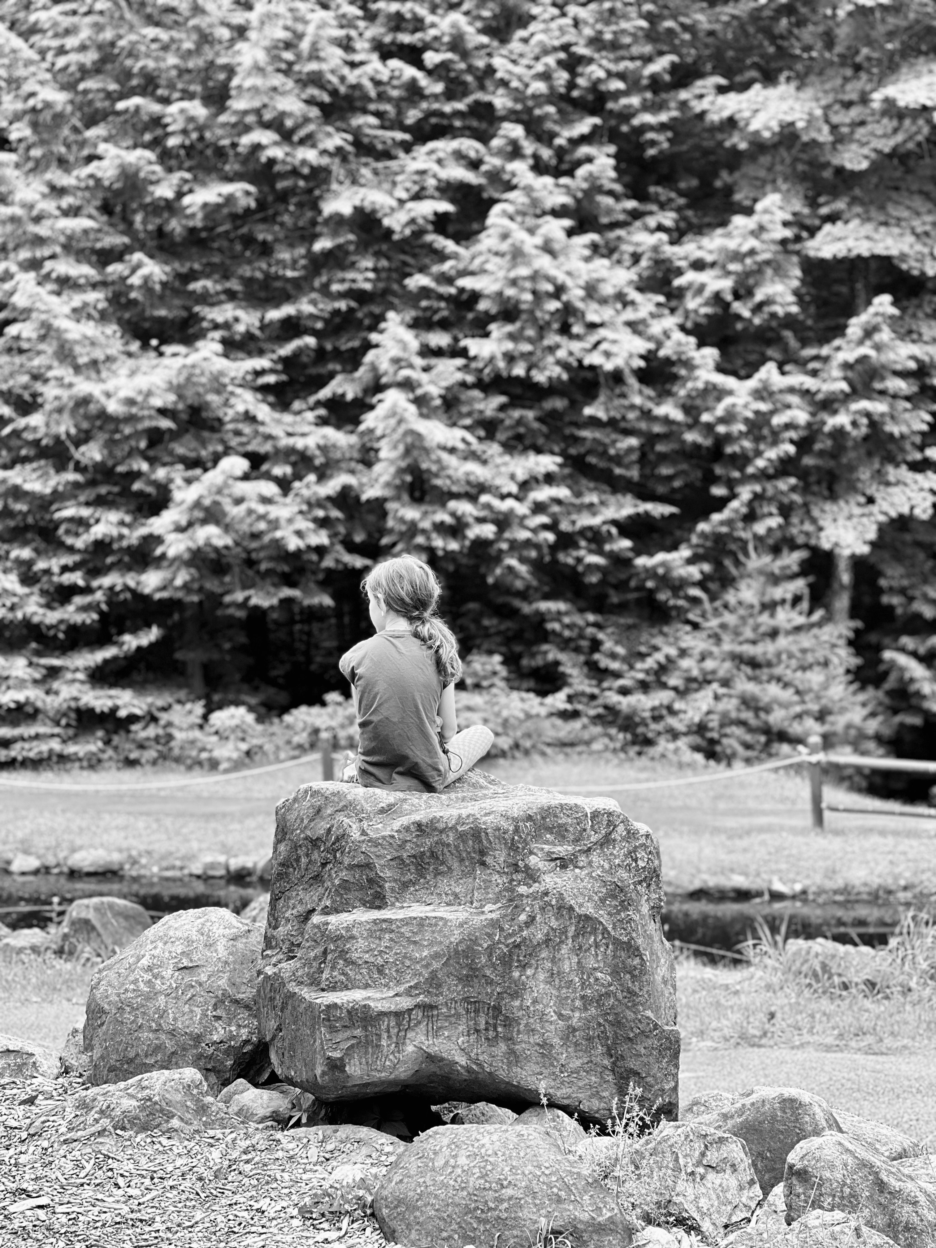 Solitary Child on Boulder in Forest Setting · Free Stock Photo