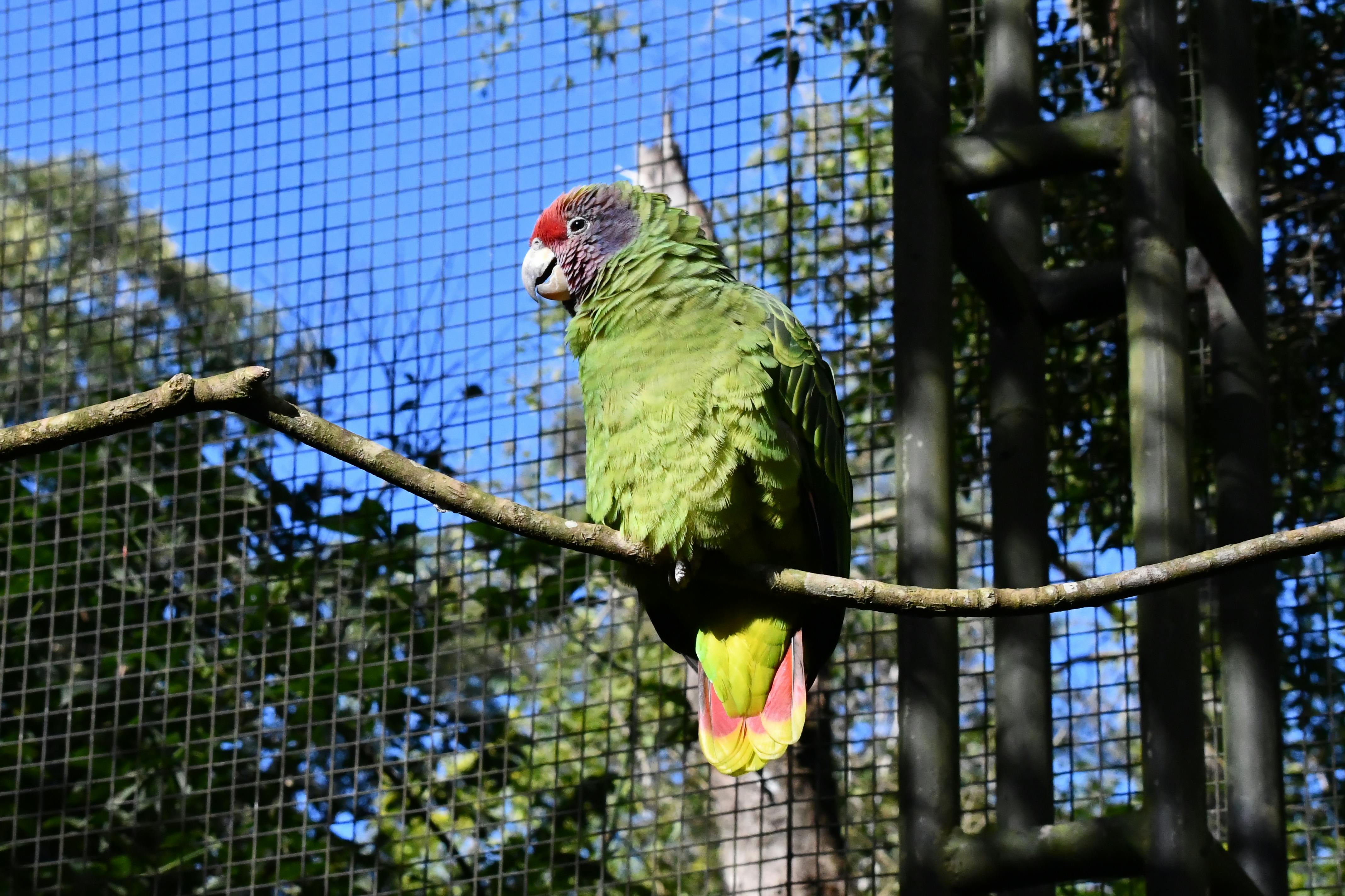 Boycott Zoo Photos, Download The BEST Free Boycott Zoo Stock Photos ...