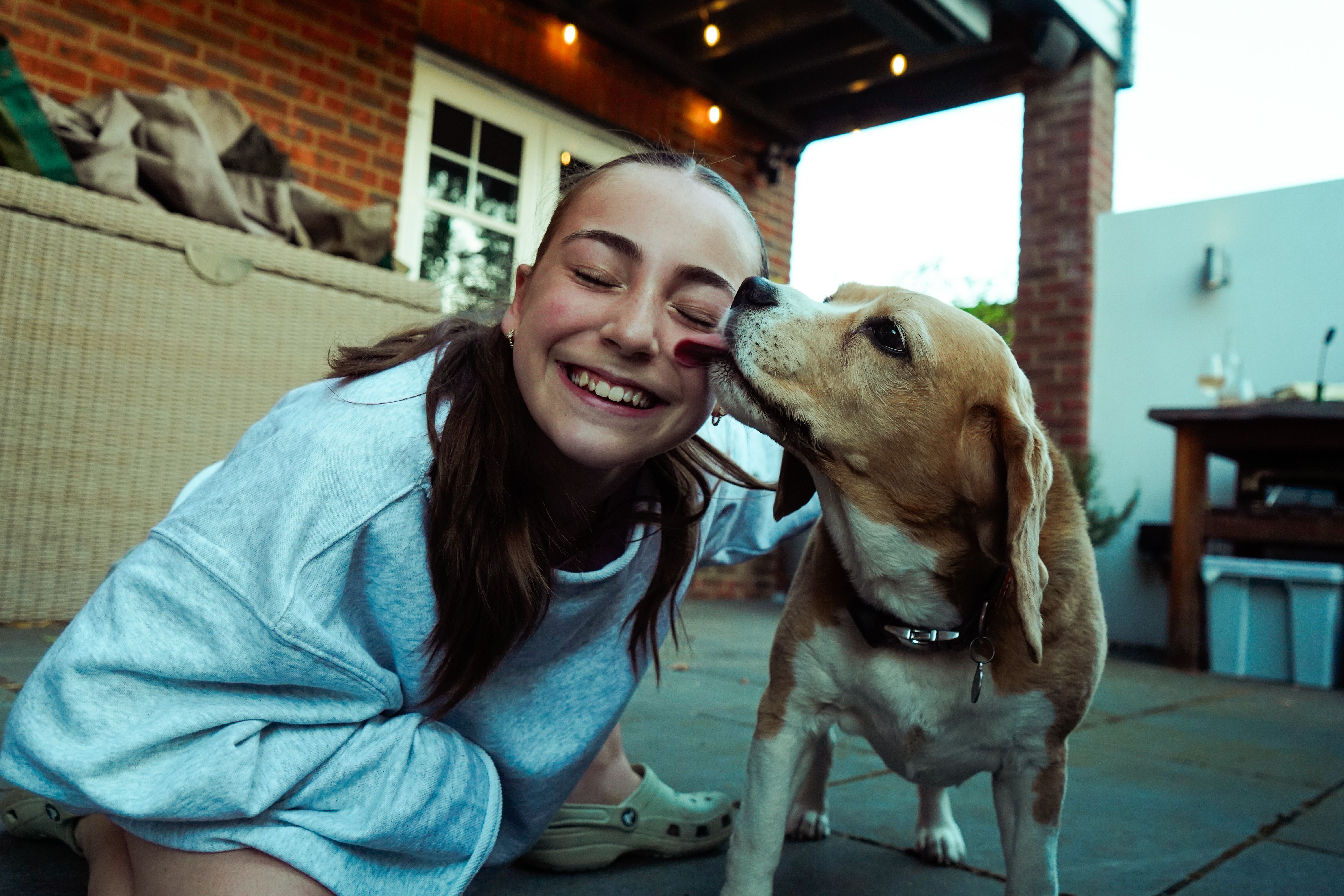 Girl and Beagle Sharing a Loving Moment Outdoors · Free Stock Photo