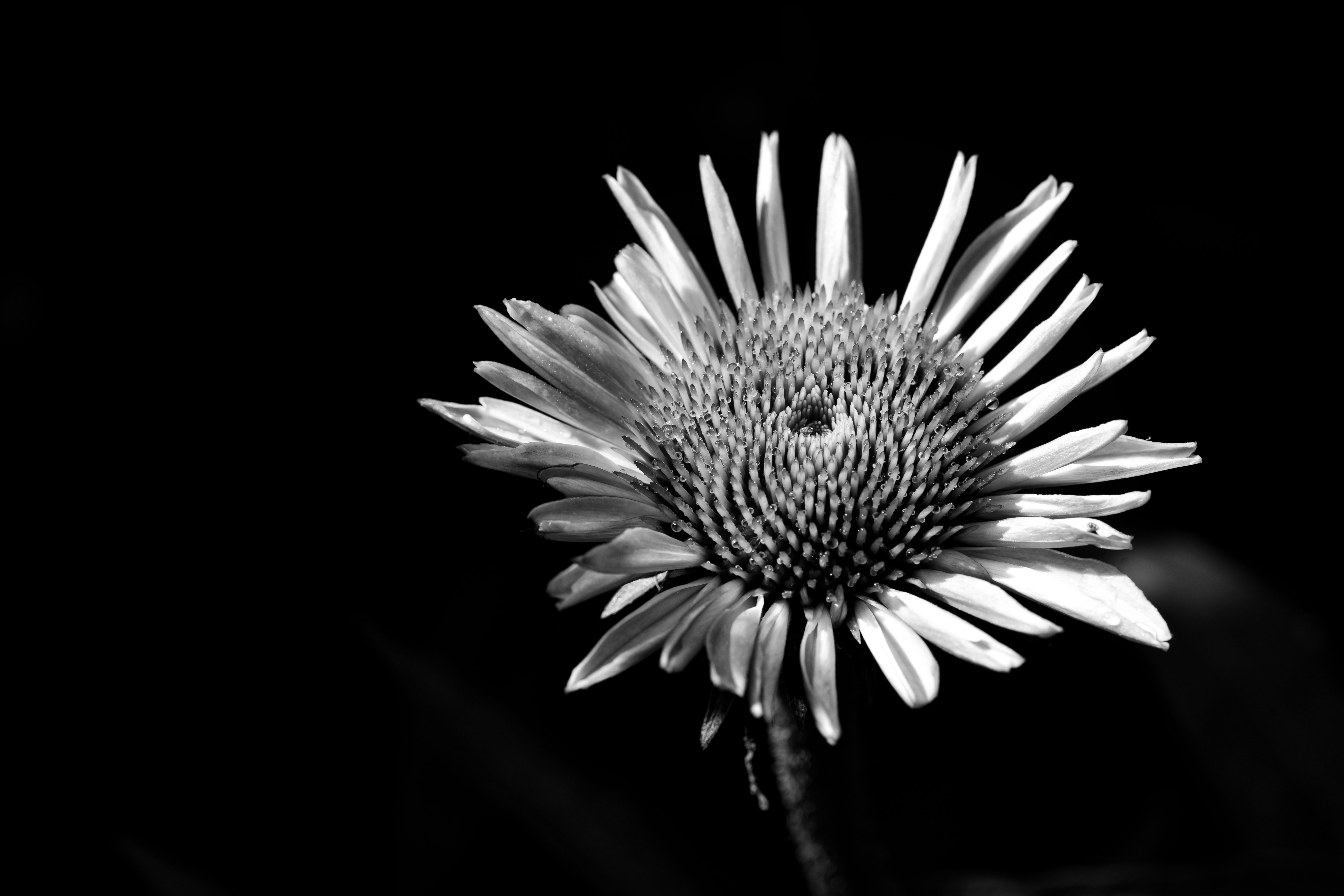 300x300+Images+For+Spotify Photos, Download The BEST Free 300x300 ...
